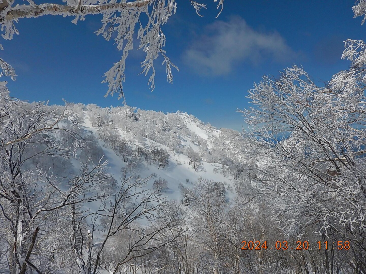 星置山 (鐘の丘)2024-03-20 / came-ponさんの手稲山・奥手稲山の活動日記 | YAMAP / ヤマップ