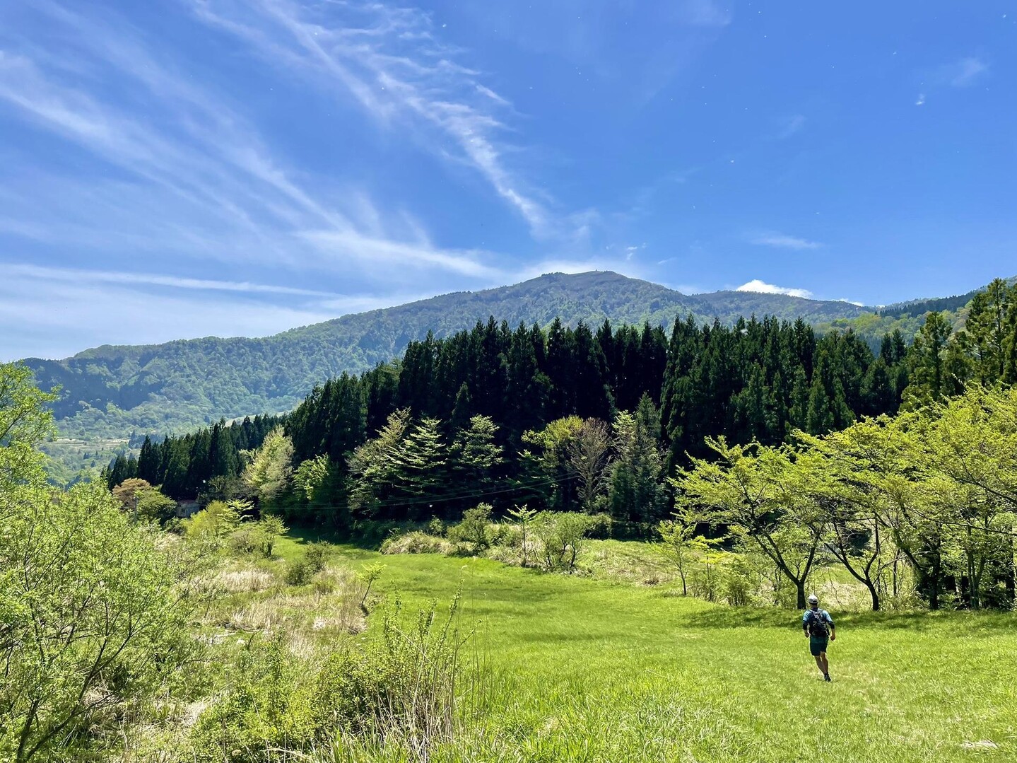 氷ノ山ぶんまわし🌿 / KIMIYAさんの氷ノ山（須賀ノ山）・鉢伏山・瀞川山の活動データ | YAMAP / ヤマップ