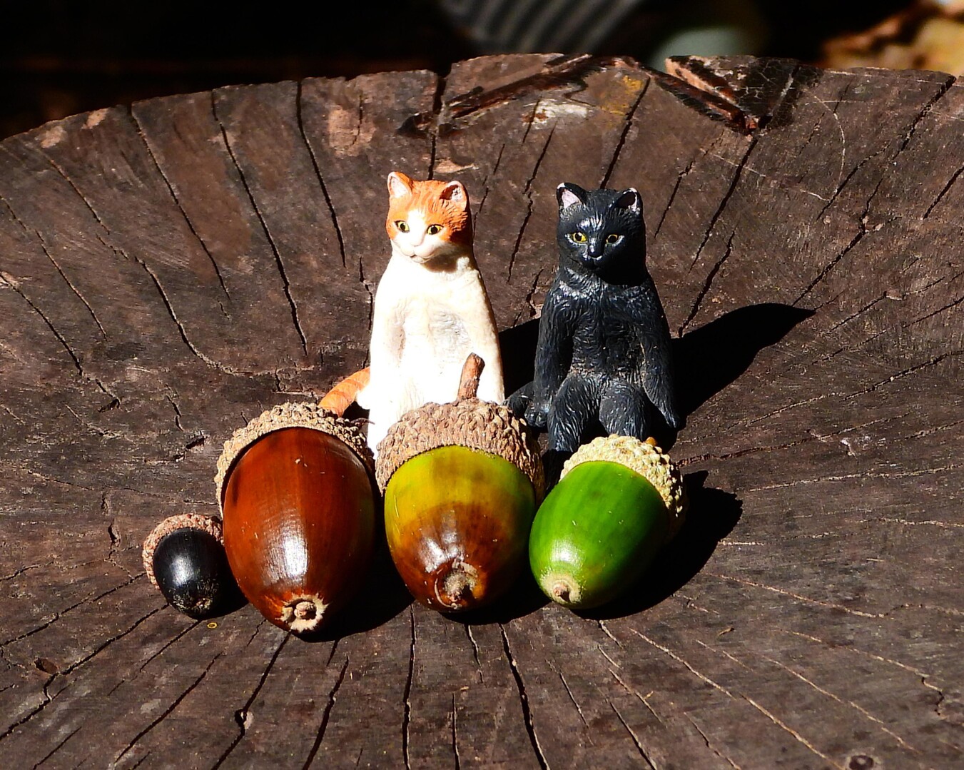 お久しぶりの硬石山♪ / pon(夫) ＆ 連れ(妻)さんの札幌市の活動データ | YAMAP / ヤマップ