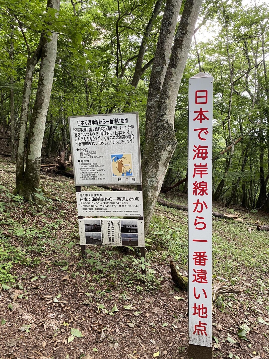 榊山 / Patさんの榊山の活動データ | YAMAP / ヤマップ