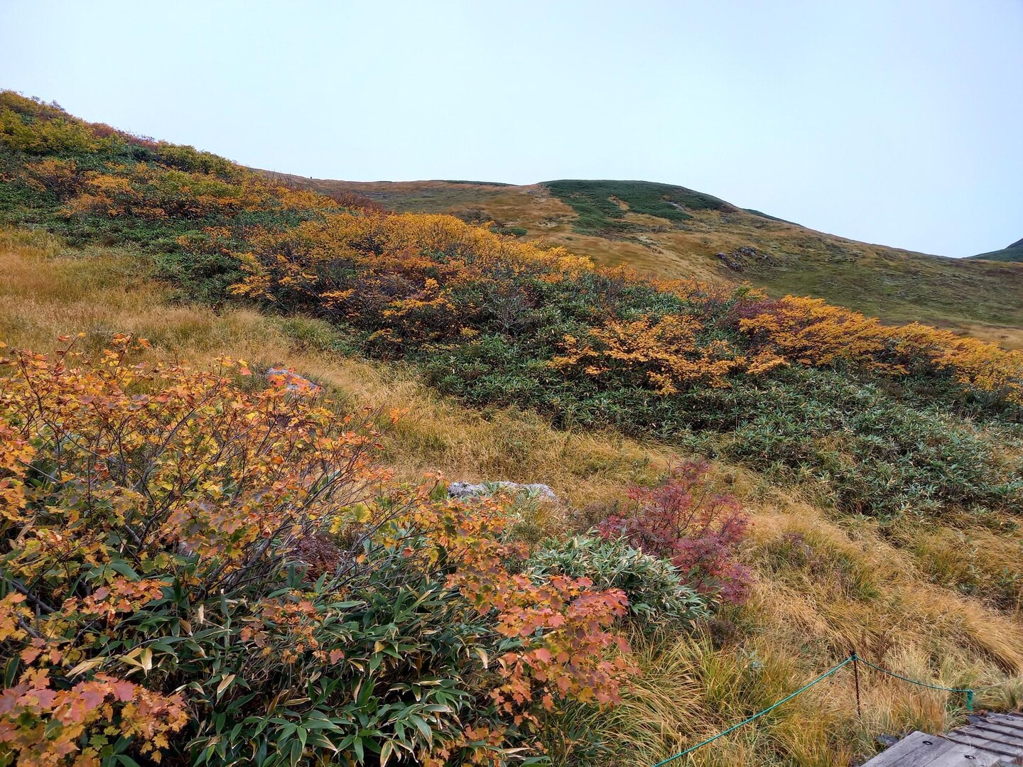 月山手前まで😢⤵️⤵️ / ririさんの月山の活動データ | YAMAP / ヤマップ