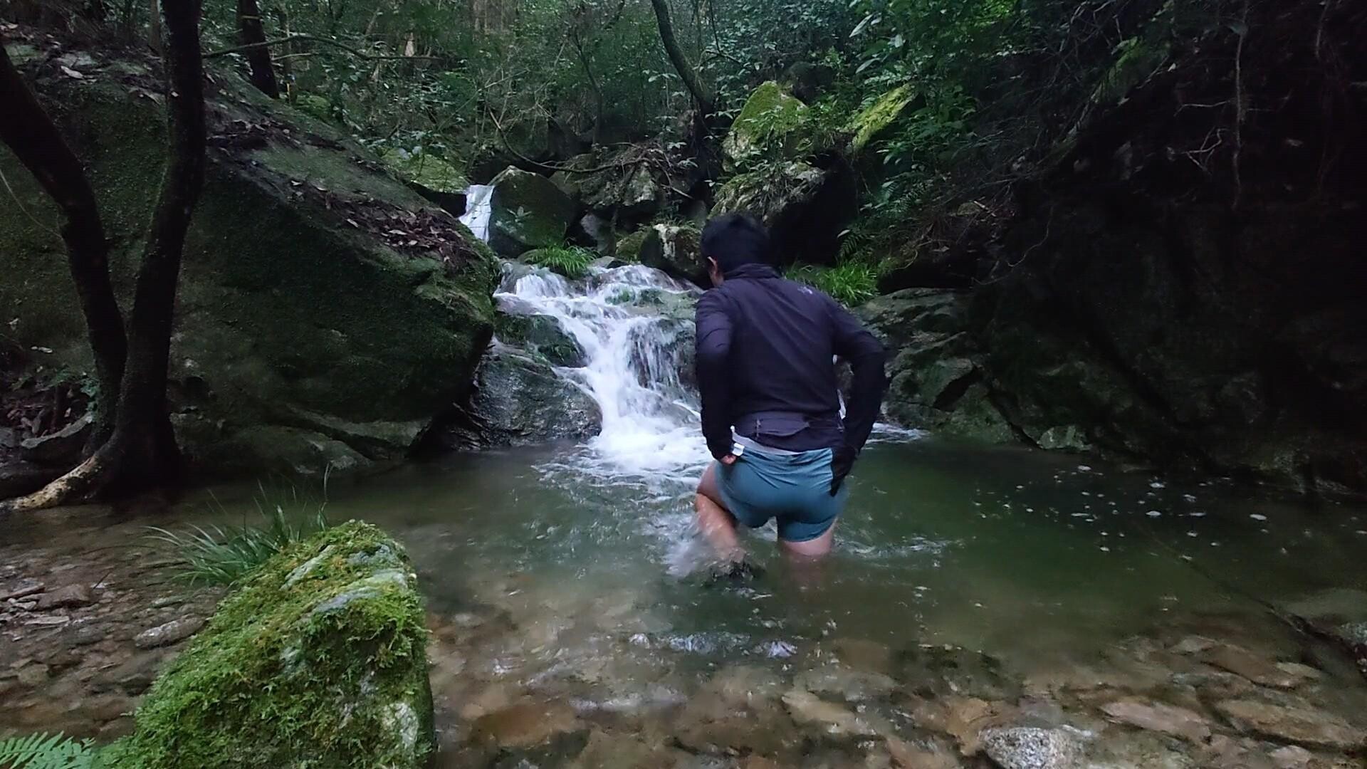 これが真の宝満山なのかもしれない（裏宝満） / RYUさんの宝満山・三郡山・若杉山の活動日記 | YAMAP / ヤマップ