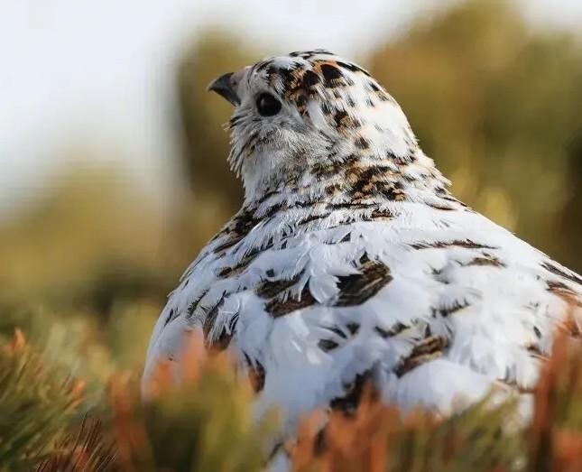 chikayのページ | YAMAP / ヤマップ