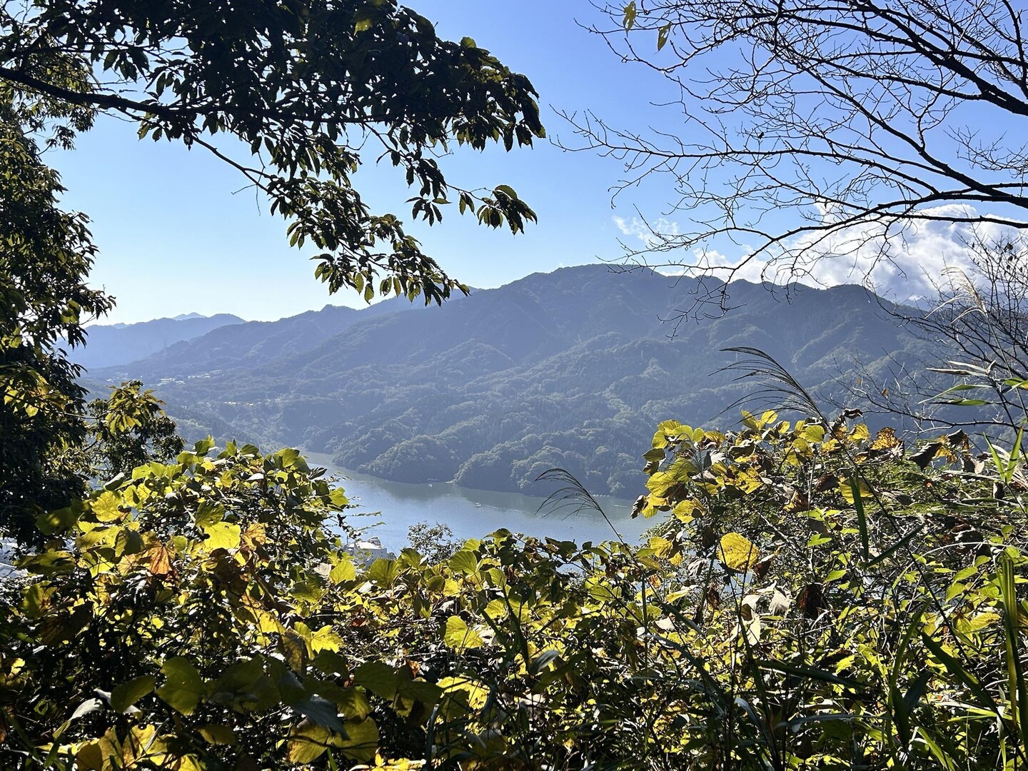 北高尾稜線 / Yos 8611さんの高尾山・陣馬山・景信山の活動データ | YAMAP / ヤマップ