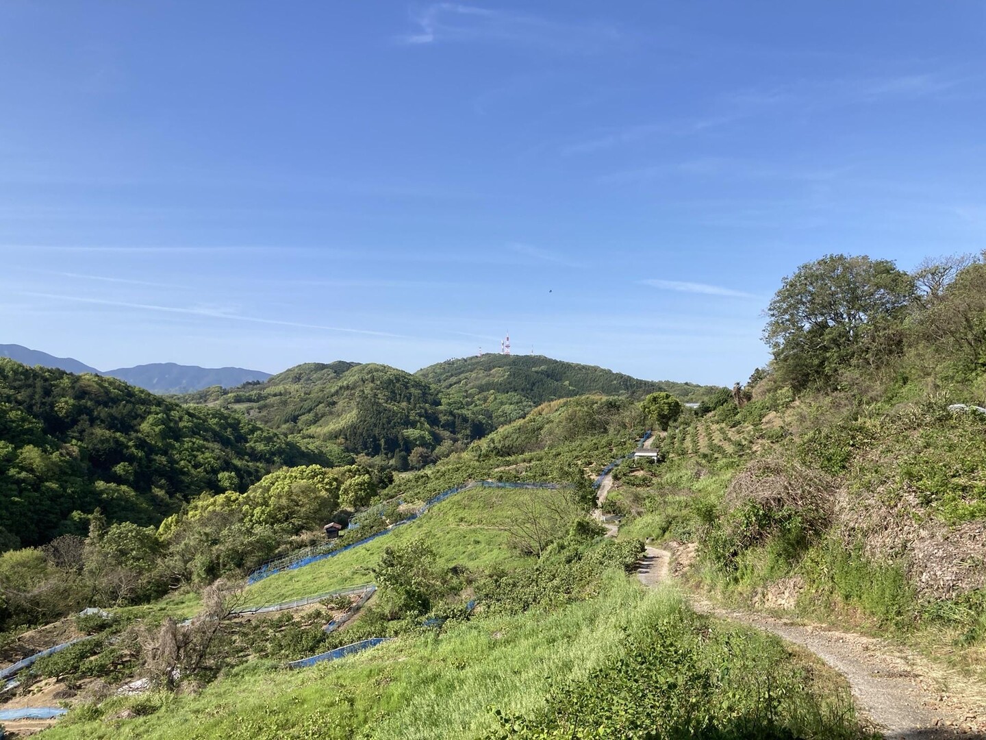 八倉山・行道山・水晶ヶ森・扇山 / Ypaaさんの四国遍路その14の活動データ | YAMAP / ヤマップ