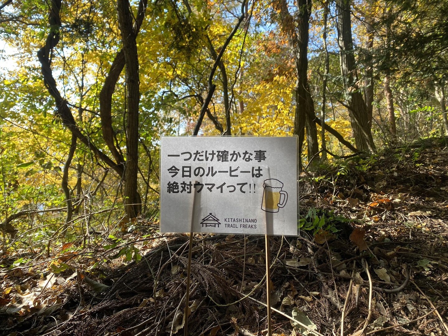 信州松代ラウンドトレイル / shihoさんの皆神山・尼厳山・奇妙山の活動データ | YAMAP / ヤマップ