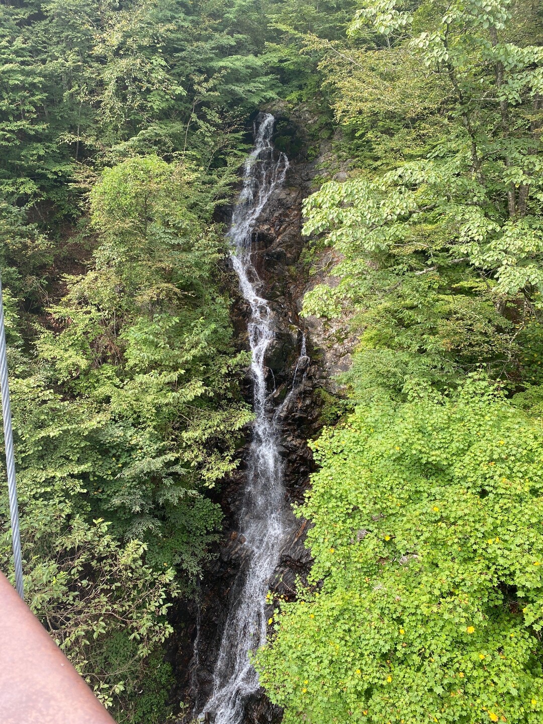 Emikoさんの投稿したフィールドメモ | YAMAP / ヤマップ