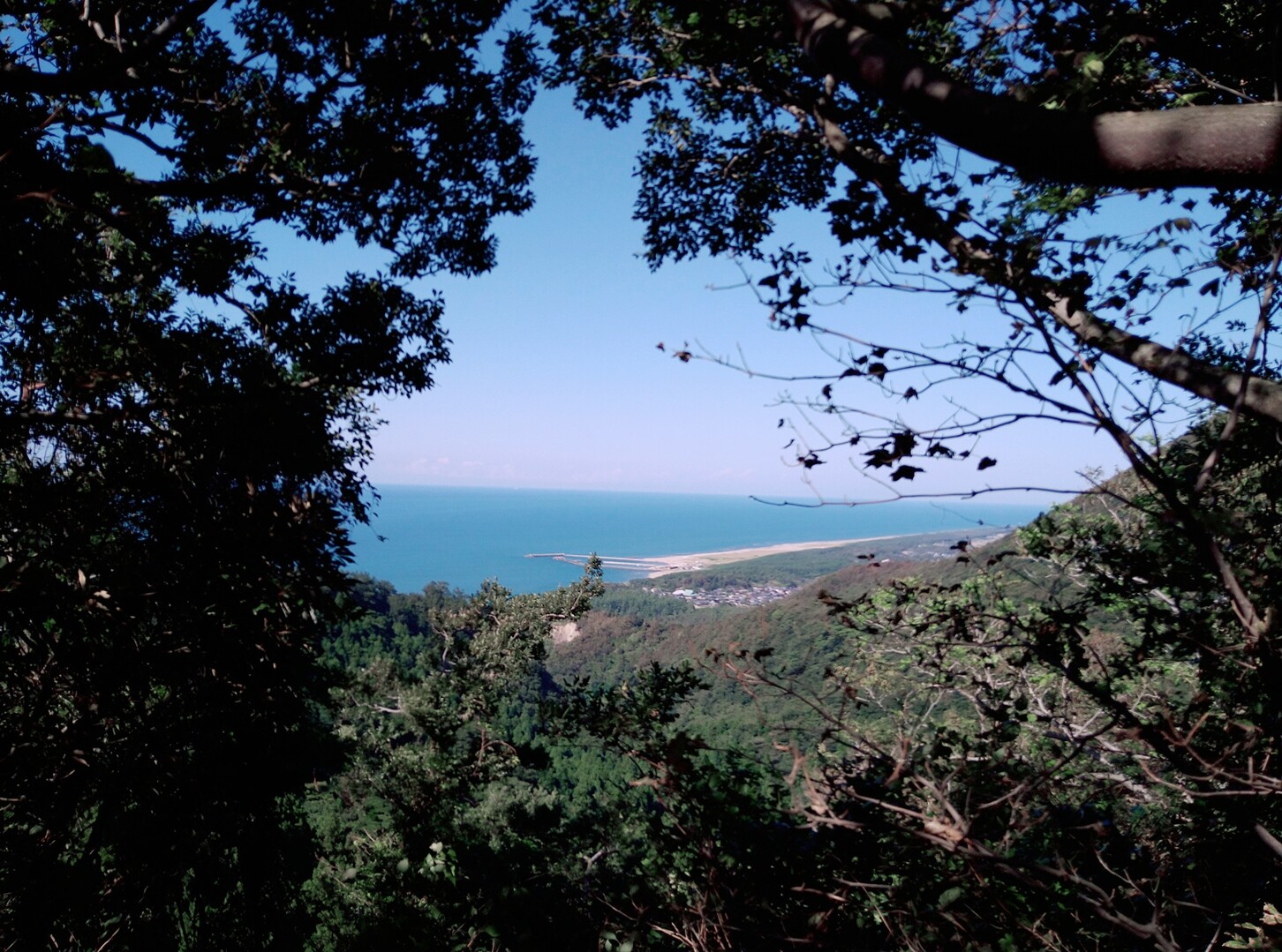 角田山(長者原山) / natu さんの角田山の活動データ | YAMAP / ヤマップ