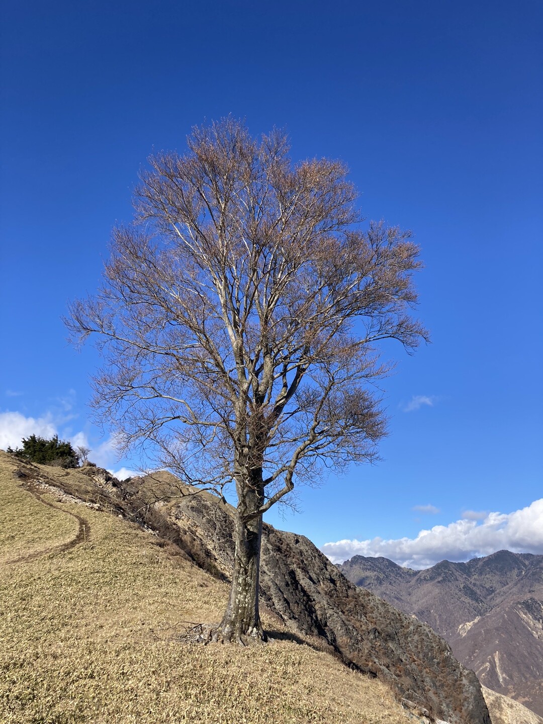 中倉山・沢入山 / aji_sanさんの皇海山・袈裟丸山・庚申山の活動データ | YAMAP / ヤマップ