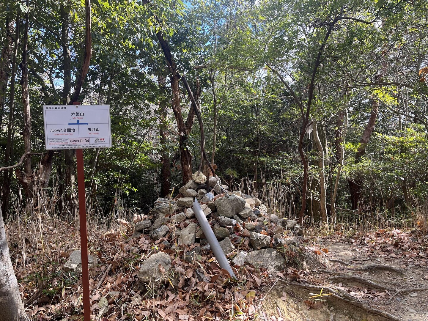 OMさんの投稿したフィールドメモ | YAMAP / ヤマップ