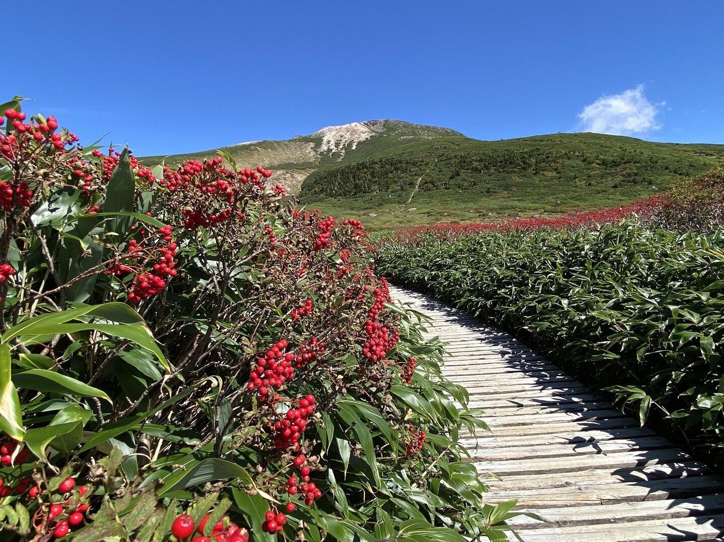 白山(室堂)トンビ岩コース🥾 / kyoさんの白山・別山・銚子ヶ峰の活動データ | YAMAP / ヤマップ
