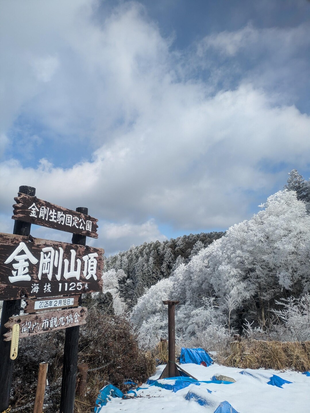 金剛山 / haruさんの金剛山・二上山・大和葛城山の活動データ | YAMAP / ヤマップ