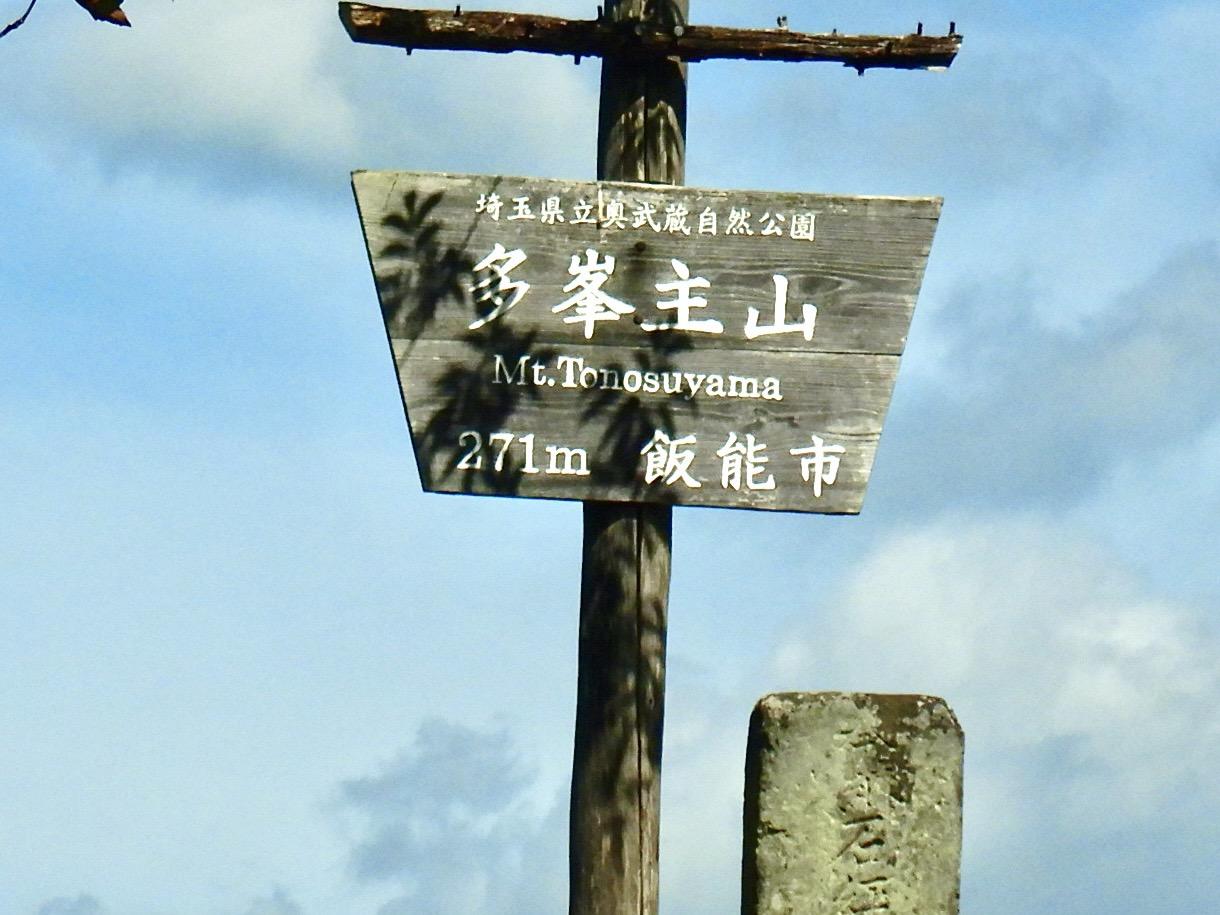 天覧山・神久山・太郎坊・多峯主山 / ken-3さんの天覧山・多峯主山・天覚山の活動データ | YAMAP / ヤマップ