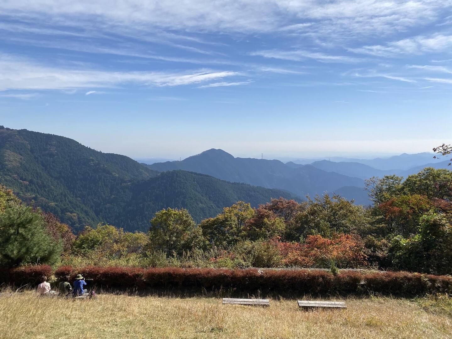 2023年11月4日御岳山登山⭐️ / ねこおじさんのモーメント | YAMAP / ヤマップ