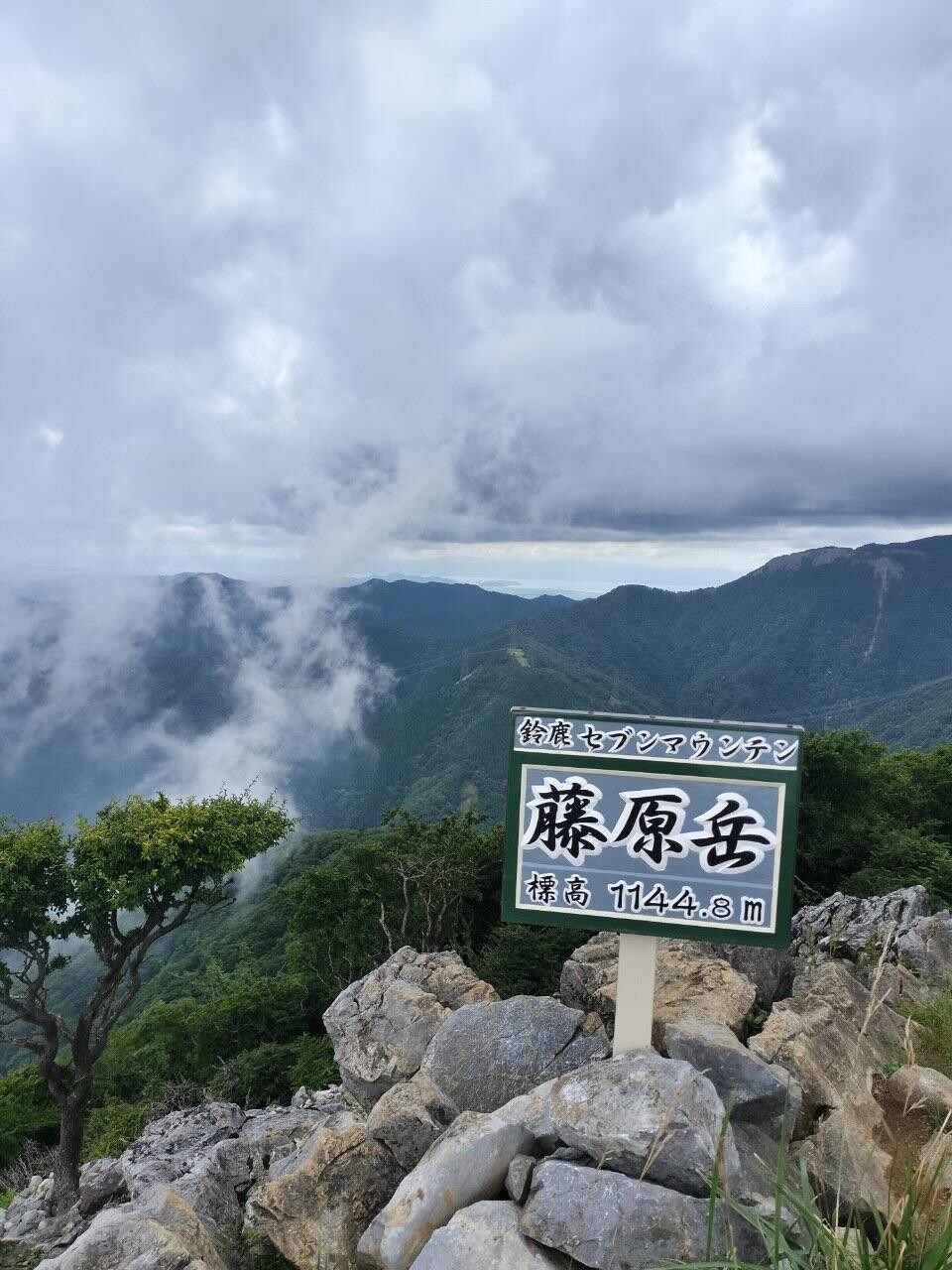 藤原岳 with 山girls ️ / ともちゃん slowhiker 🥾さんの藤原岳・御池岳の活動データ | YAMAP / ヤマップ