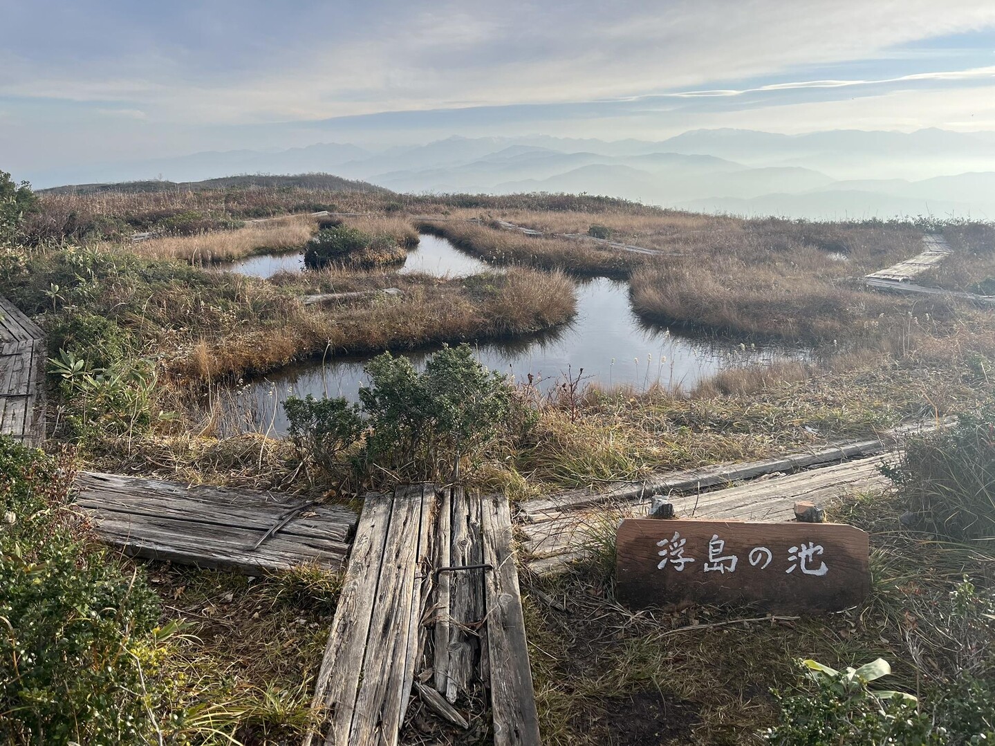 白木峰 / HACHIさんの白木峰・小白木峰の活動データ | YAMAP / ヤマップ