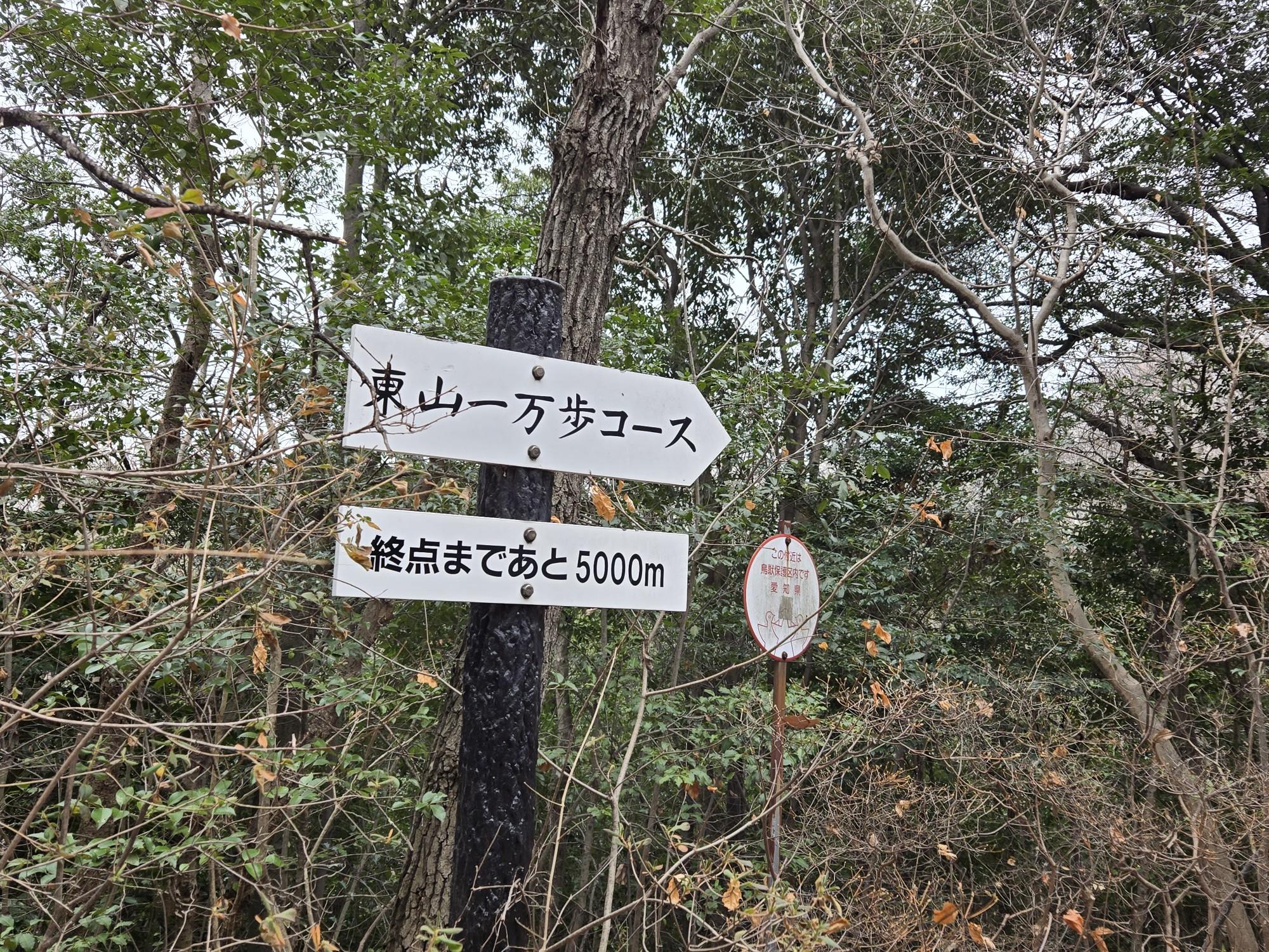 東山公園ウオーキング🚶‍♂️ / airiskochanさんの東山公園・平和公園の活動データ | YAMAP / ヤマップ
