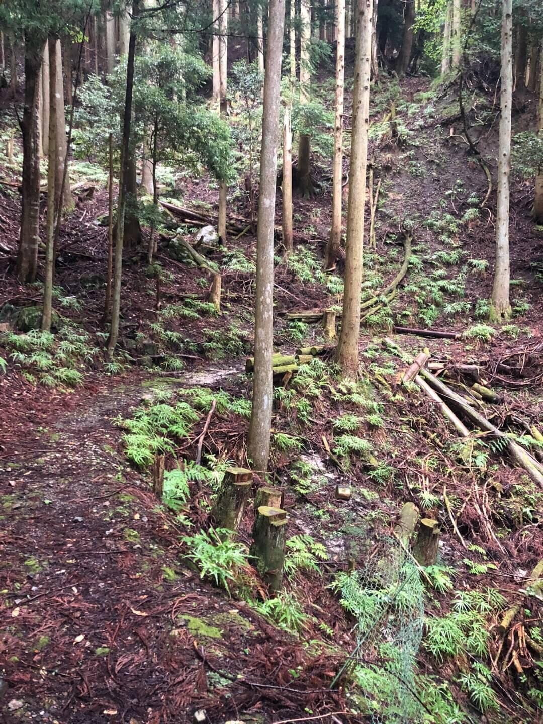 ※過去の山行記録です。 R4 8月13... / オオイシさんのモーメント | YAMAP / ヤマップ