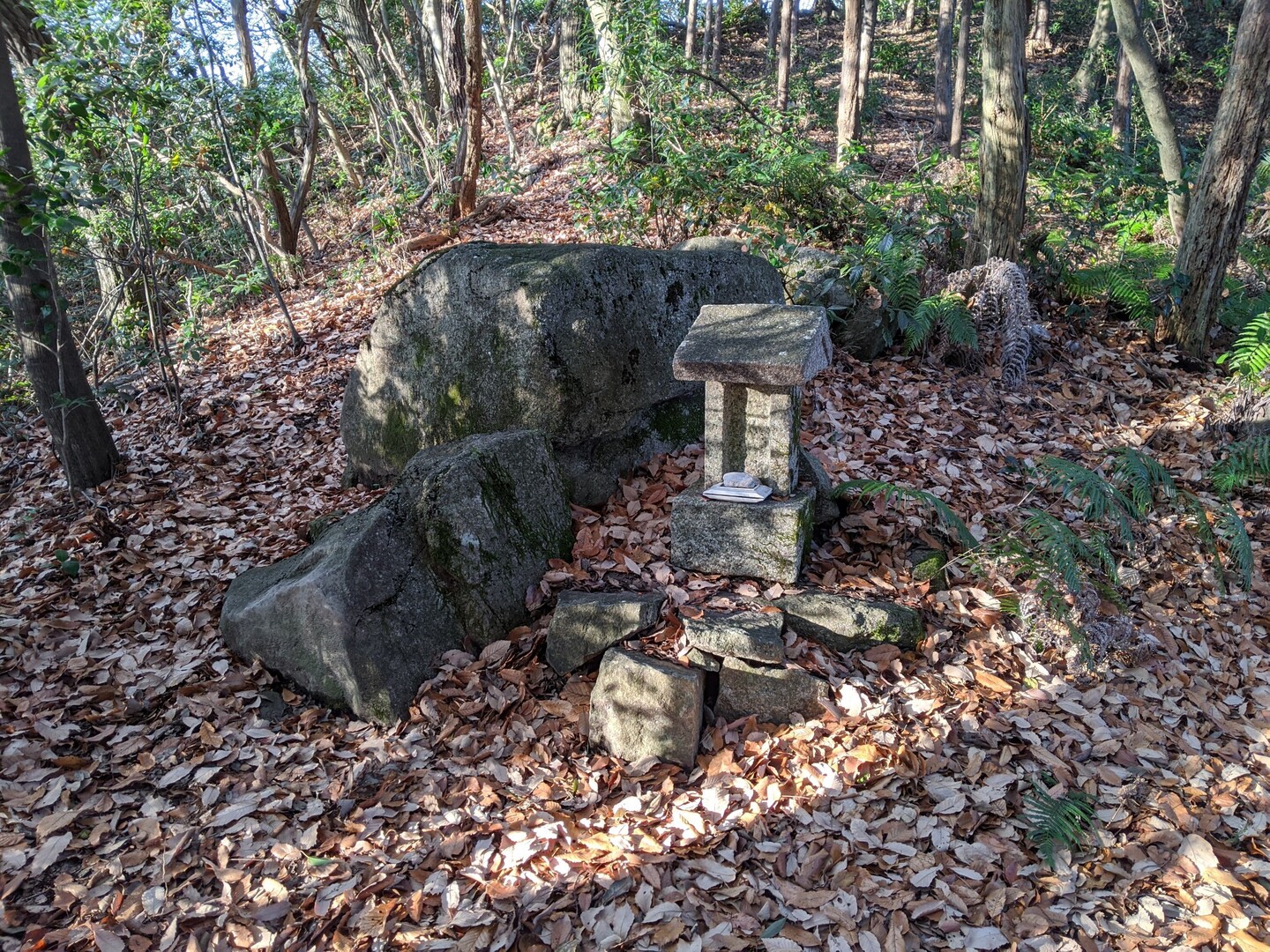 猿投山-2019-12-28 / yasu1979さんの猿投山・物見山の活動データ | YAMAP / ヤマップ