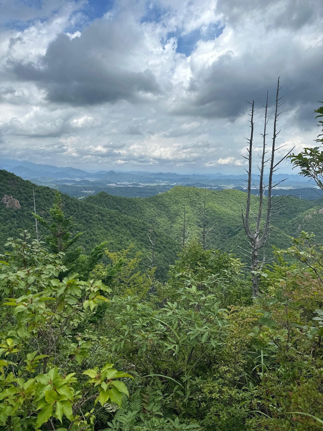 Jangers ジャンガースさんの投稿したフィールドメモ | YAMAP / ヤマップ