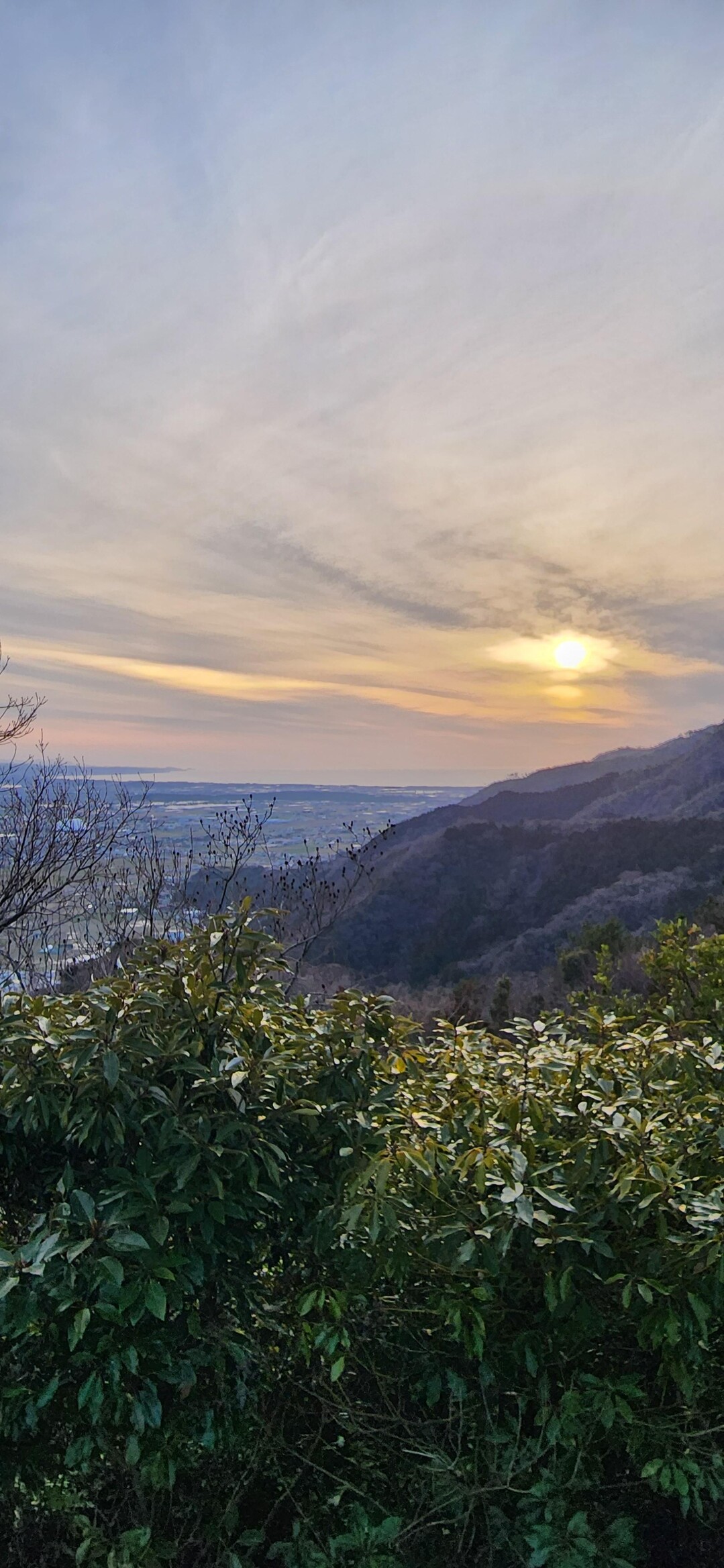 鳶が巣山 / 𝕐𝕦𝕕𝕒𝕚さんの鼻高山・弥山・旅伏山の活動データ | YAMAP / ヤマップ