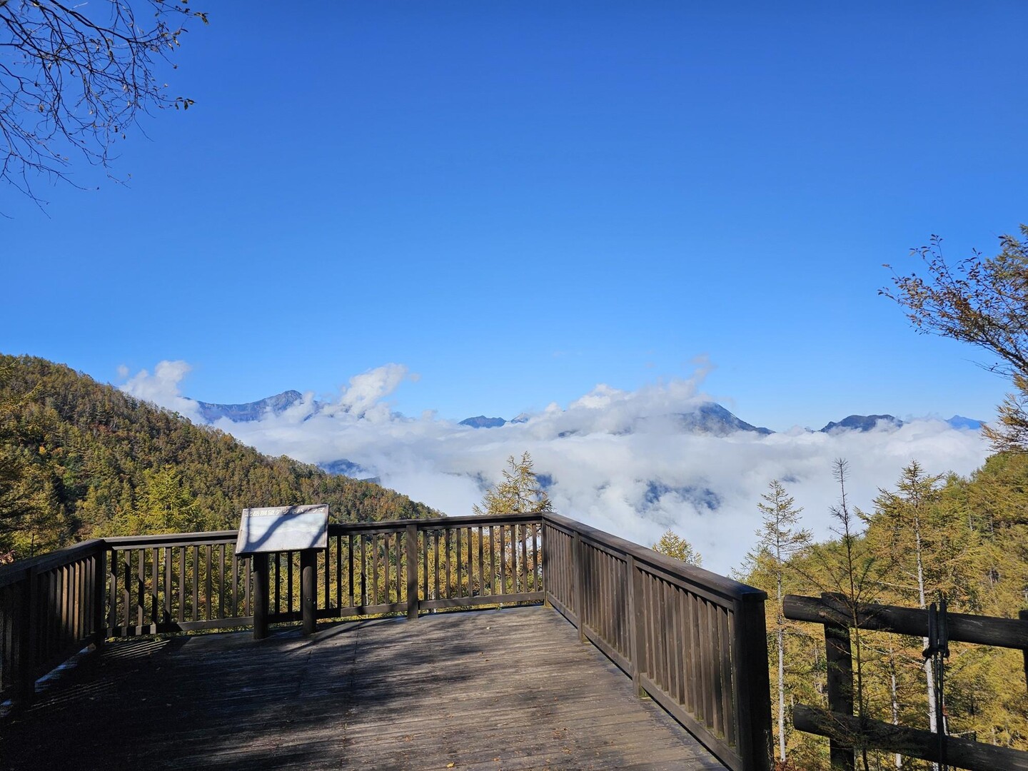 奥仙重・櫛形山・裸山・唐松岳 / naka-zさんの櫛形山・裸山・唐松岳の活動データ | YAMAP / ヤマップ