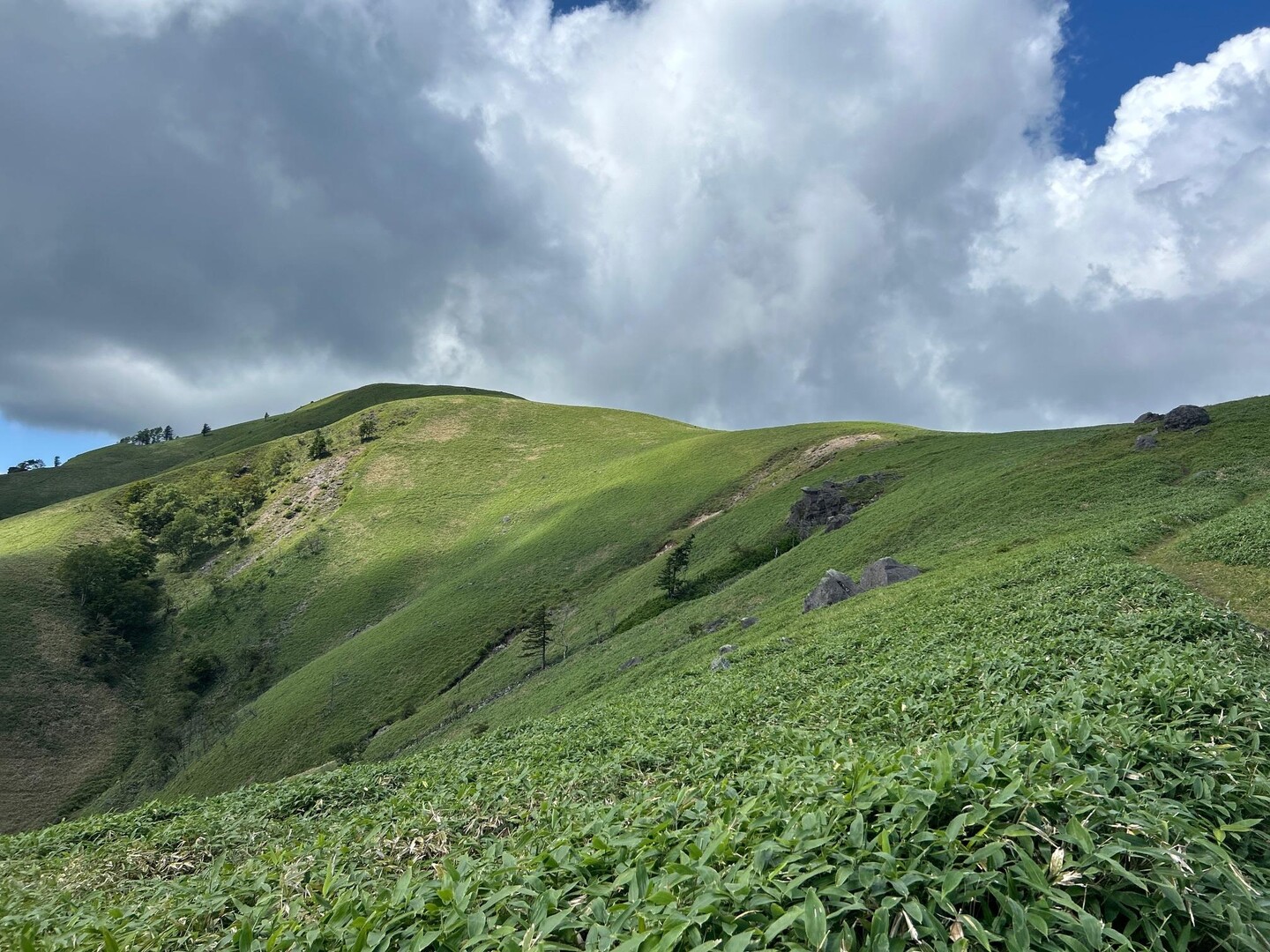 和田山南峰・和田山北峰・三峰山_2024-08-10 / FJ-Zさんの鉢伏山・高ボッチ山・三峰山の活動データ | YAMAP / ヤマップ