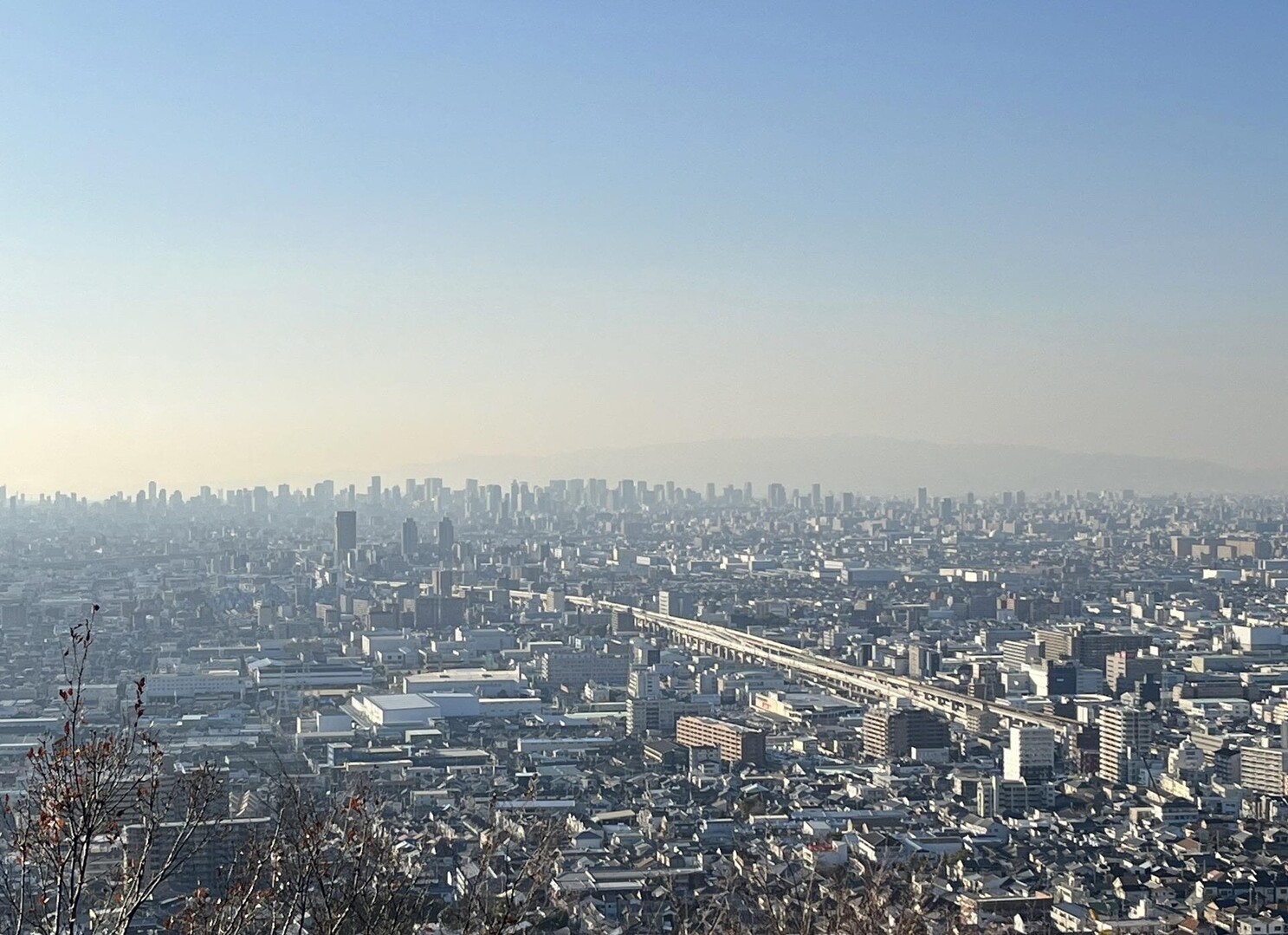 生駒山⑥・タタラ山・鬼取山 / SHOJIさんの生駒山・神津嶽・大原山の活動データ | YAMAP / ヤマップ