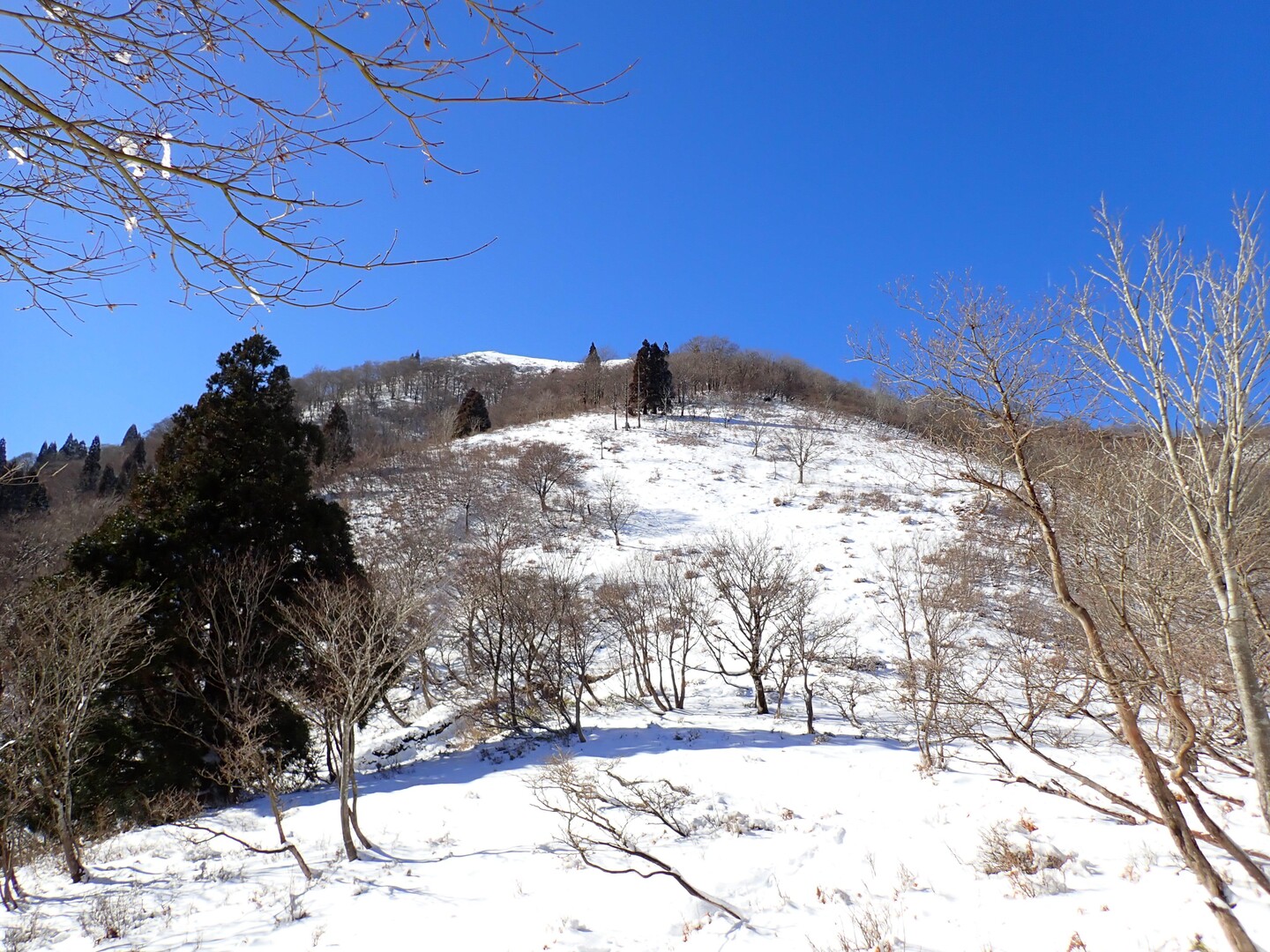 堂満岳～武奈ヶ岳 / kol-hiraさんの比良山地・武奈ヶ岳・釈迦岳の活動データ | YAMAP / ヤマップ