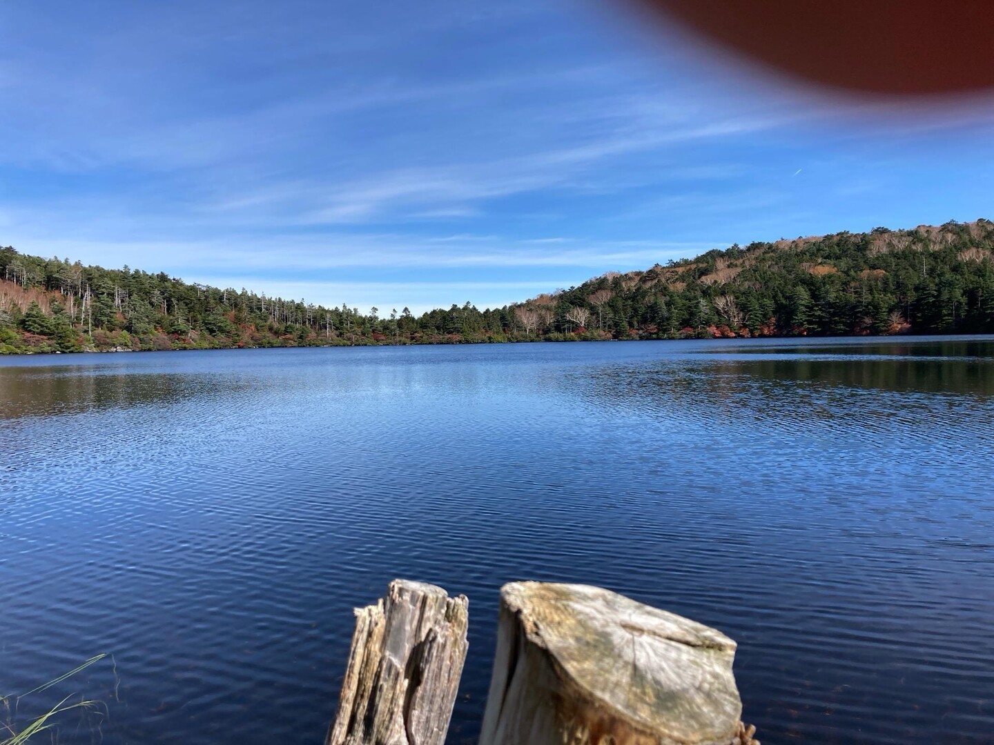 神秘的な「苔の森」へ😄 ニュウ・中山 / Tomiさんの八ヶ岳（赤岳・硫黄岳・天狗岳）の活動データ | YAMAP / ヤマップ