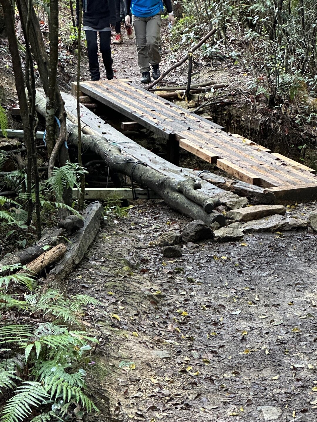 mac.flz（幸楽部）さんの投稿したフィールドメモ | YAMAP / ヤマップ