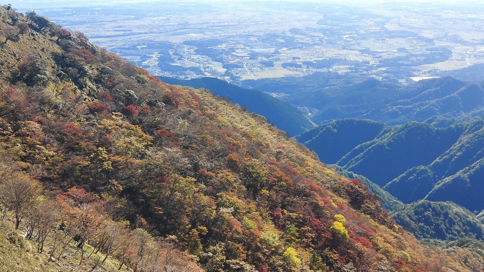紅葉求めて竜ヶ岳 / piropiroさんの竜ヶ岳の活動データ | YAMAP / ヤマップ