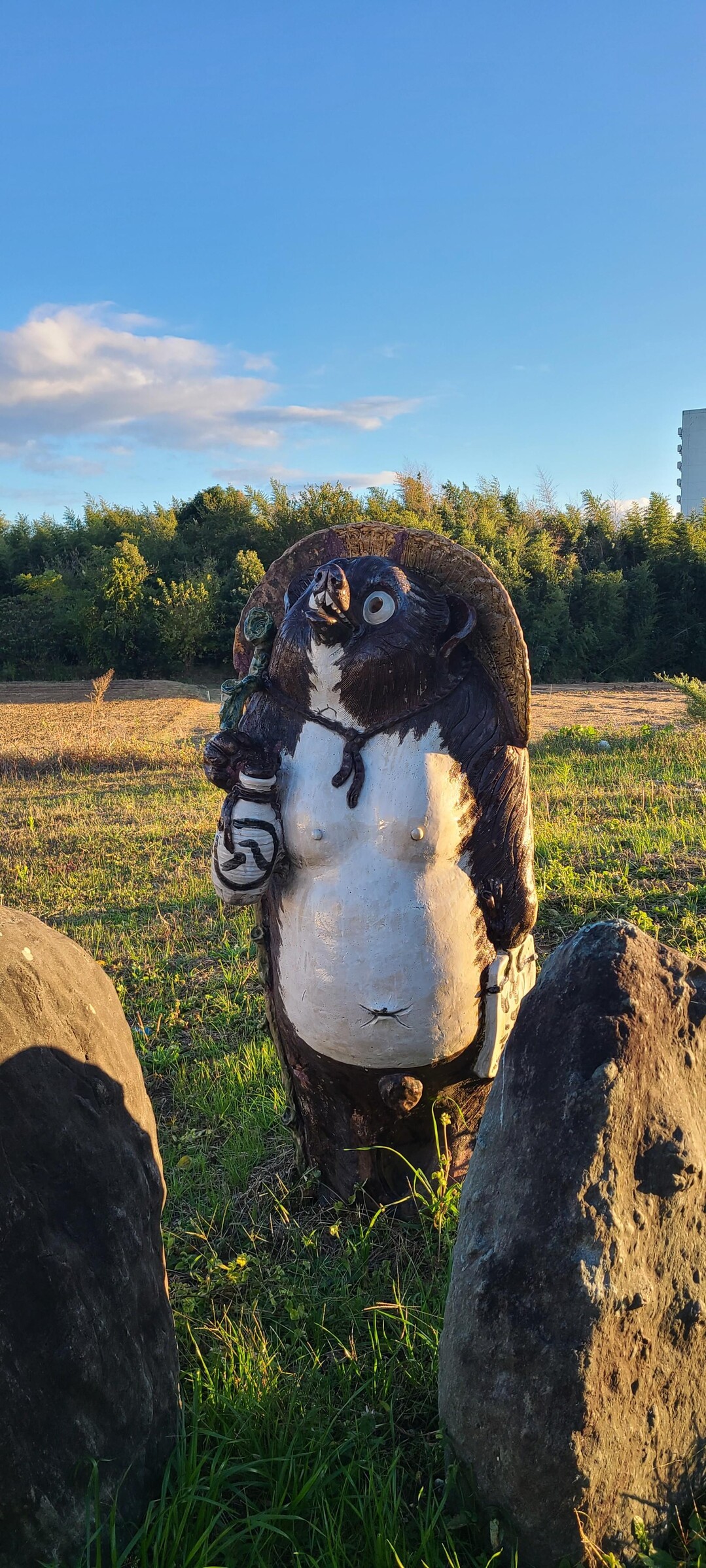 基礎トレ🦍刈ハイ・かま体・TMC・JF・洲原 / goriさんのランニングの活動データ | YAMAP / ヤマップ