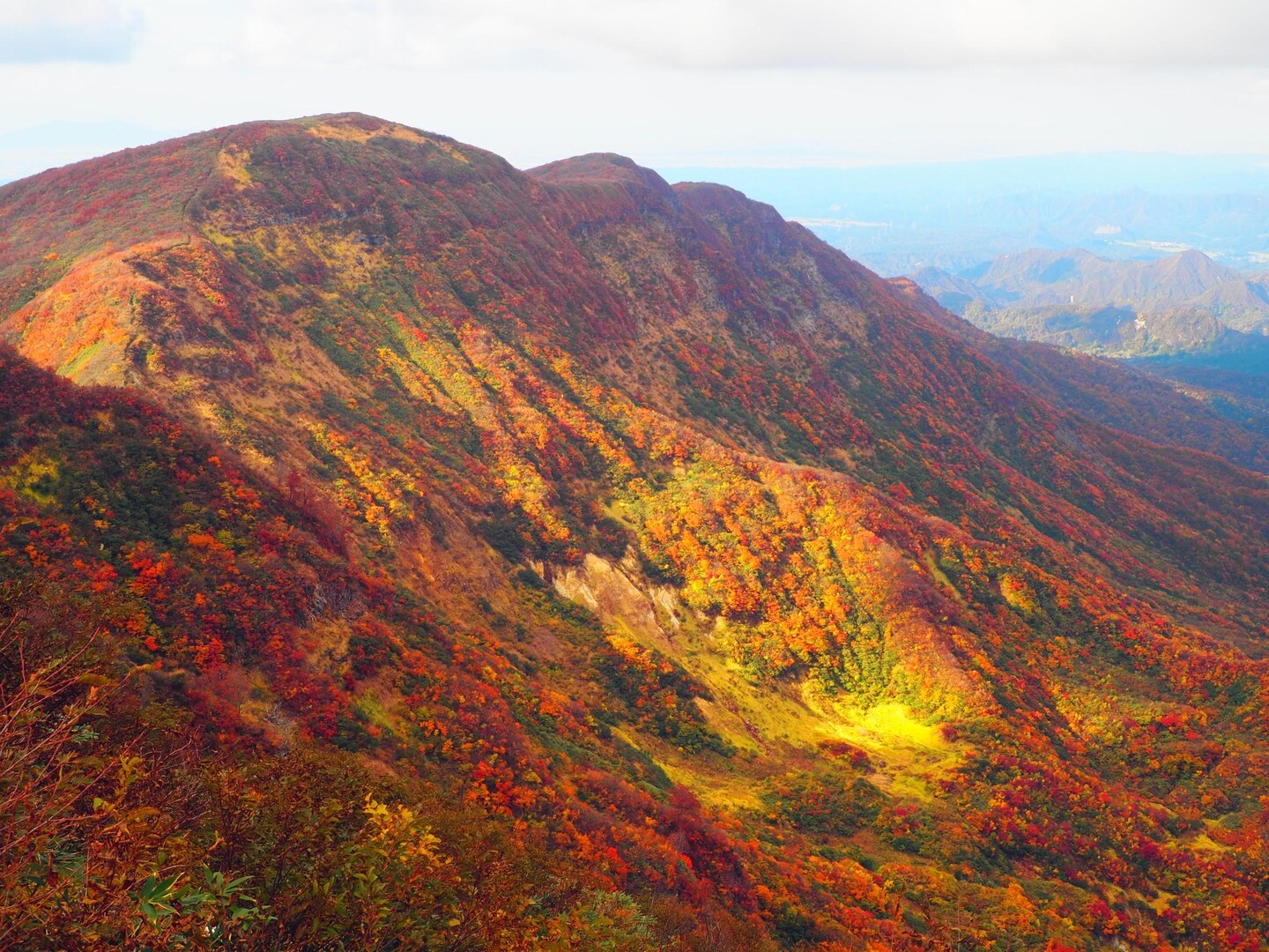 中越のラスボス炎上 守門岳(袴岳、青雲岳) / 天ぷらケンジJyJyさんの守門岳・大岳・網張山の活動データ | YAMAP / ヤマップ