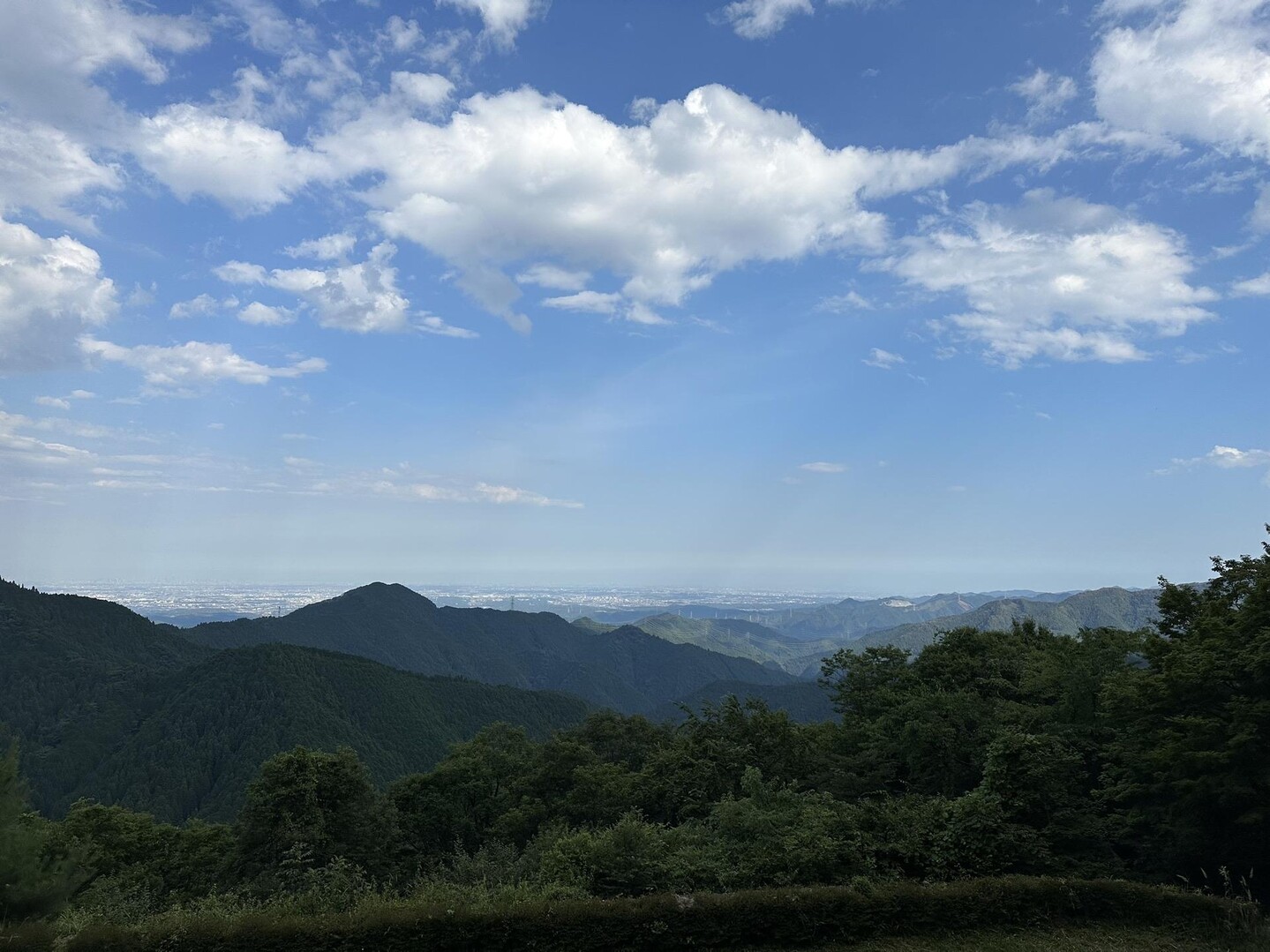 御岳山（天狗岩〜七代の滝〜長尾平） / hetareguchiさんの大岳山・御岳山・御前山の活動データ | YAMAP / ヤマップ