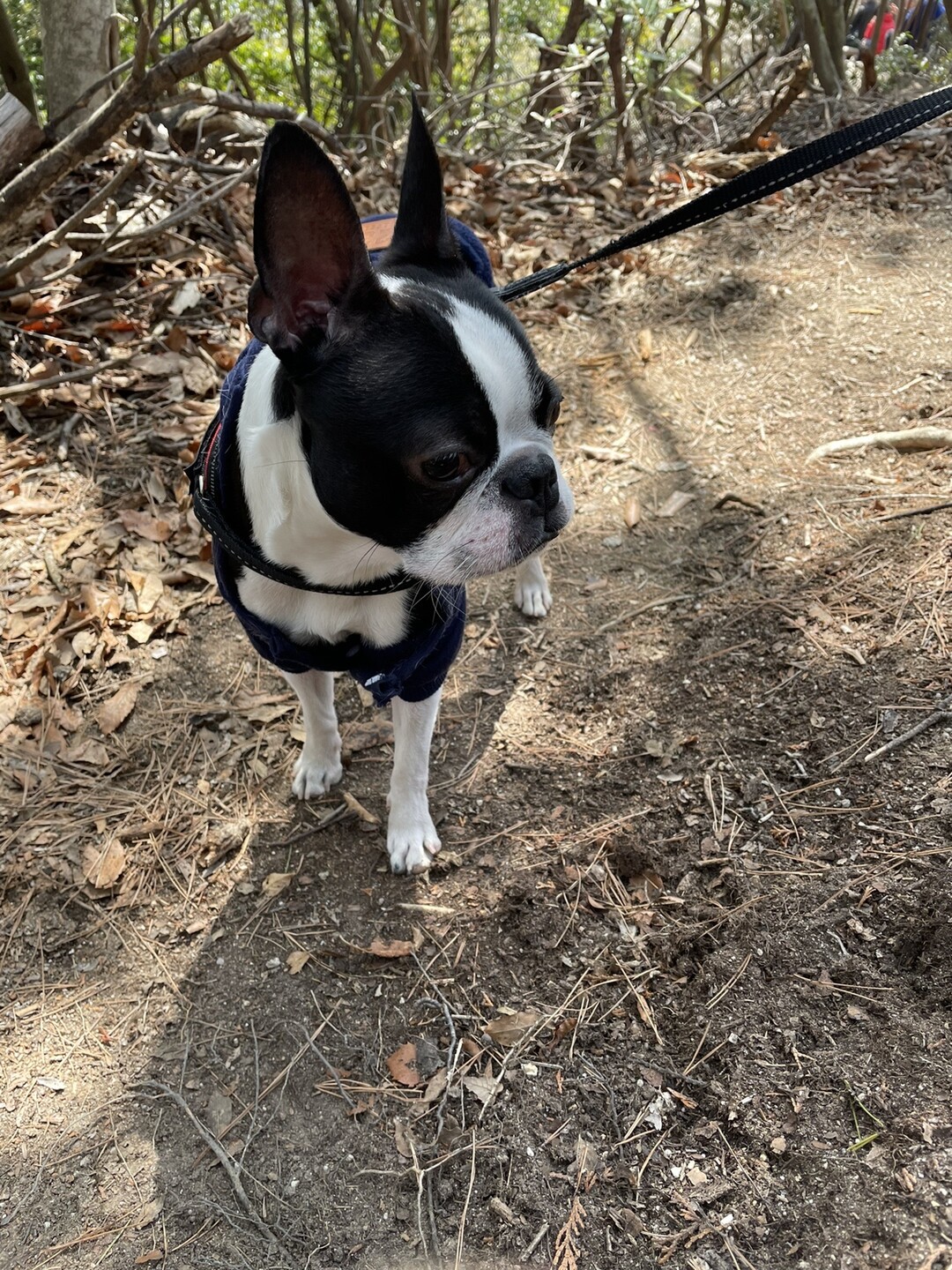 3月5日 愛知県 猿投山 晴れ 今... / ISOさんのモーメント | YAMAP / ヤマップ