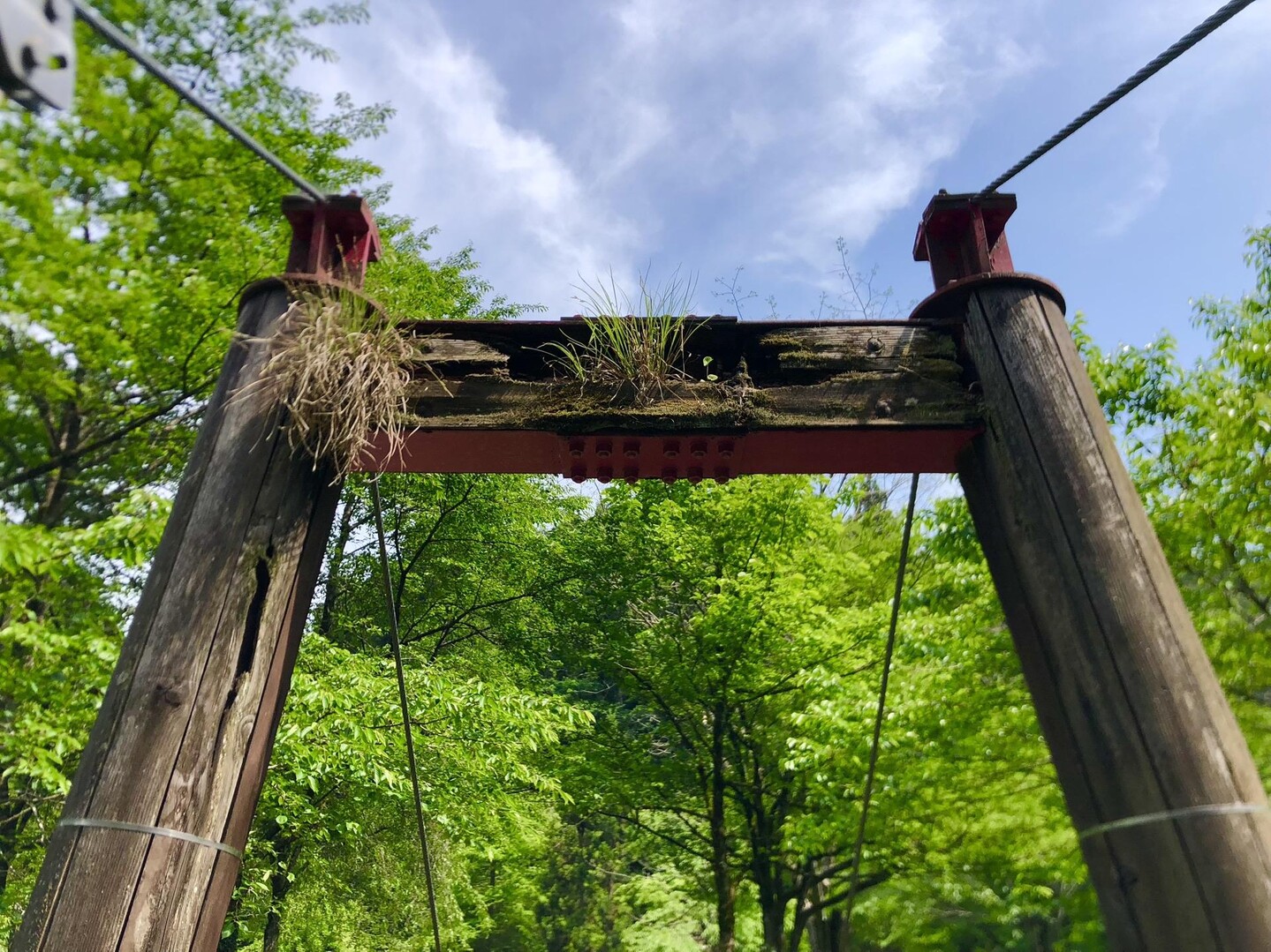 ろう火峰・高立山・菩堤寺山 / Naluさんの菩提寺山・高立山・護摩堂山の活動データ | YAMAP / ヤマップ