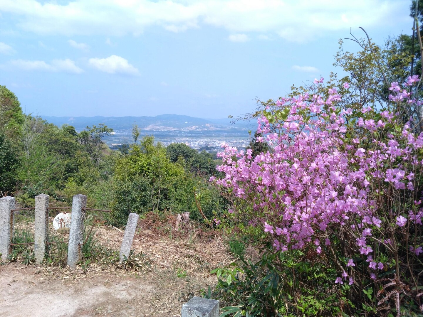 甘南備山 / omifuji4さんの交野山・国見山の活動データ | YAMAP / ヤマップ