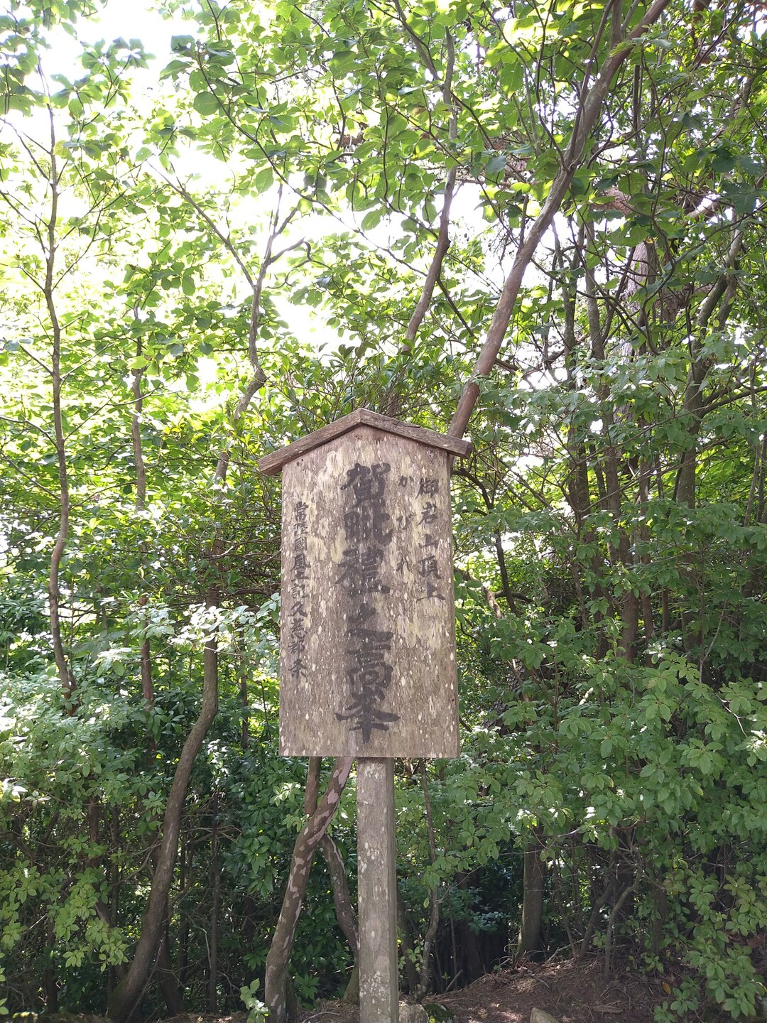 ⛩⛰1年ぶり〜汗だく💦💦 / ogapさんのモーメント | YAMAP / ヤマップ