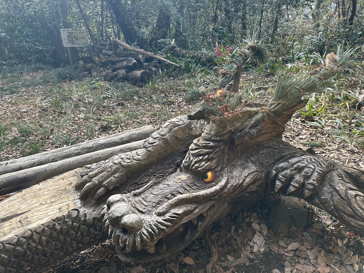 高尾山🐲ハートルートで龍にご挨拶 / cosyauさんの高尾山・陣馬山・景信山の活動データ | YAMAP / ヤマップ