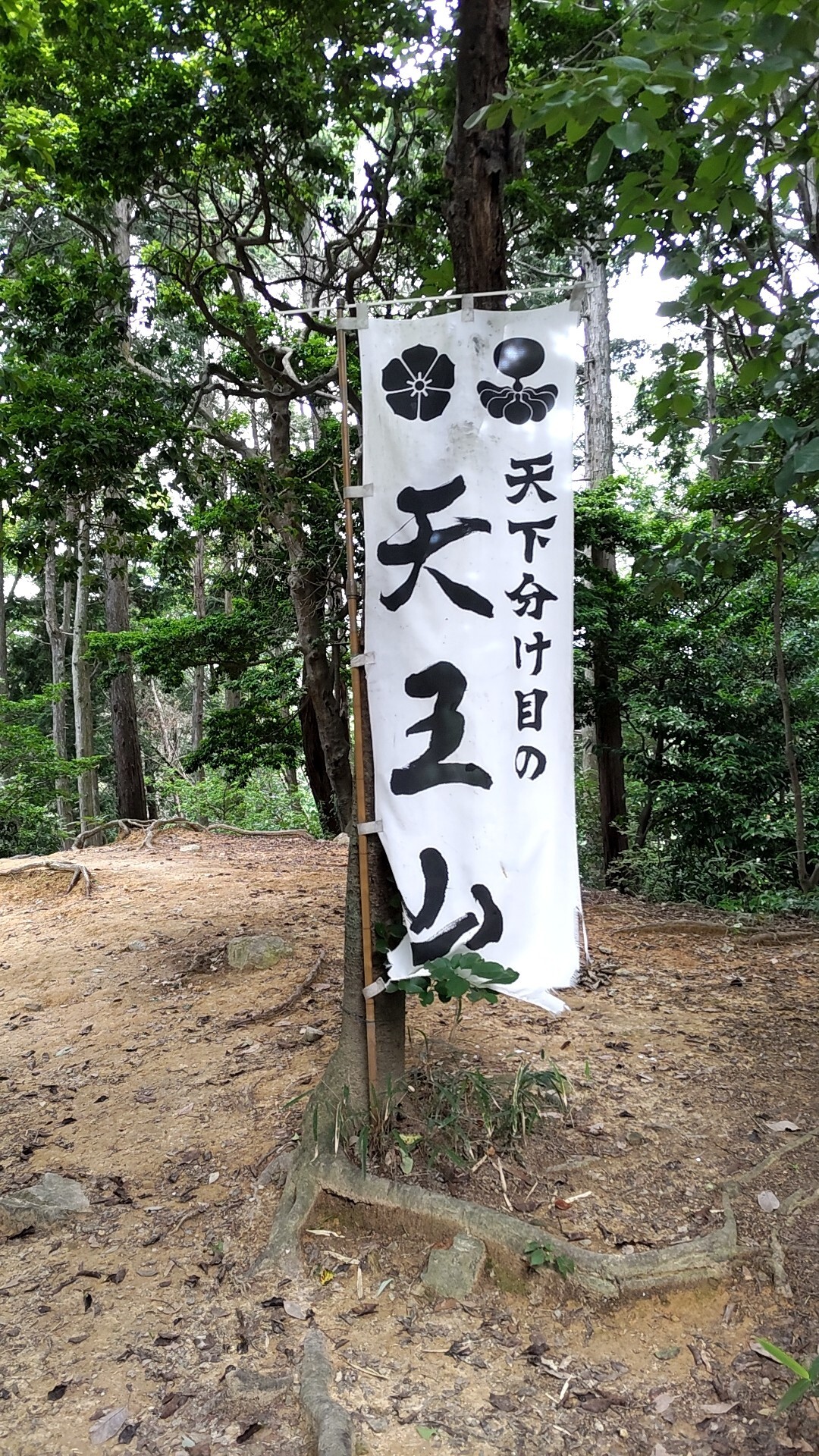 go-taのページ | YAMAP / ヤマップ