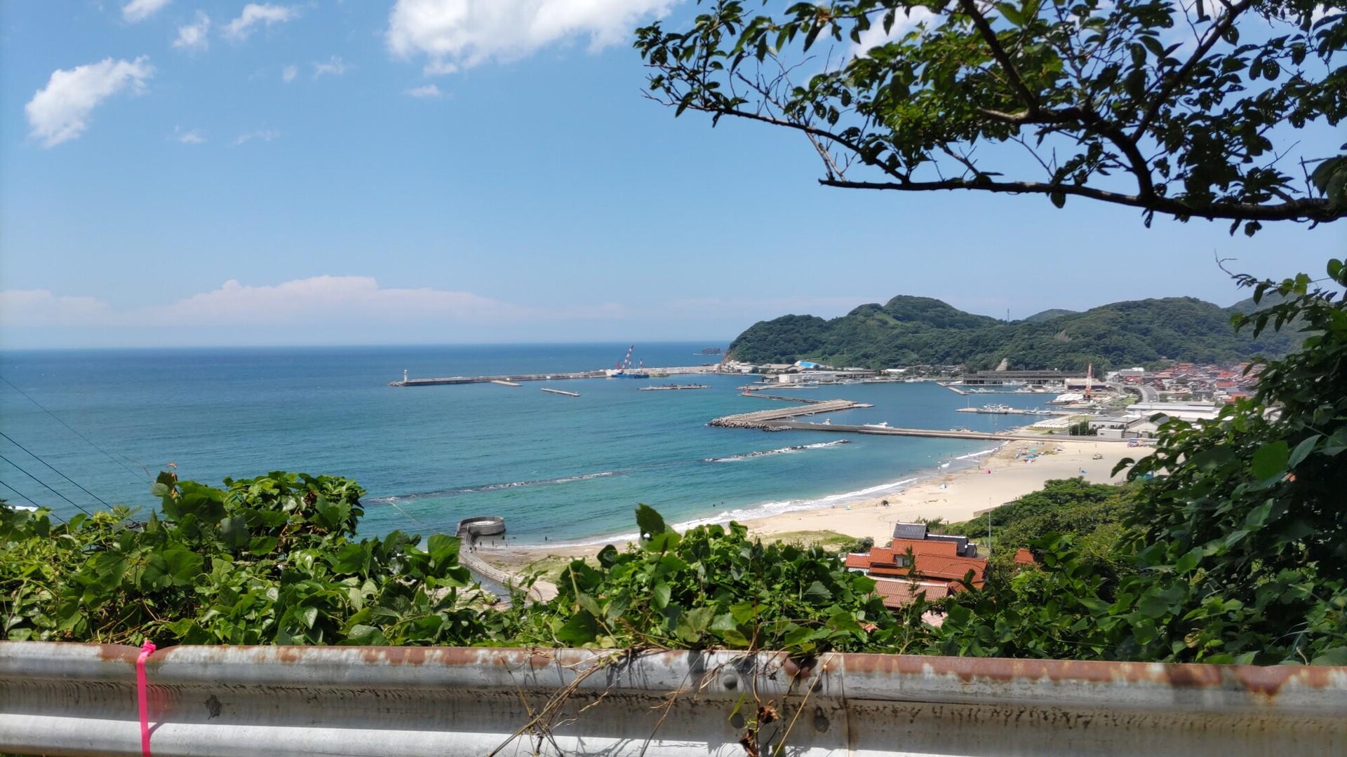 キノコ🍄の女王👑に出会う👫朝日山（中国自然歩道）-2023-07-16・18 / さんちょtbさんの朝日山の活動データ | YAMAP / ヤマップ