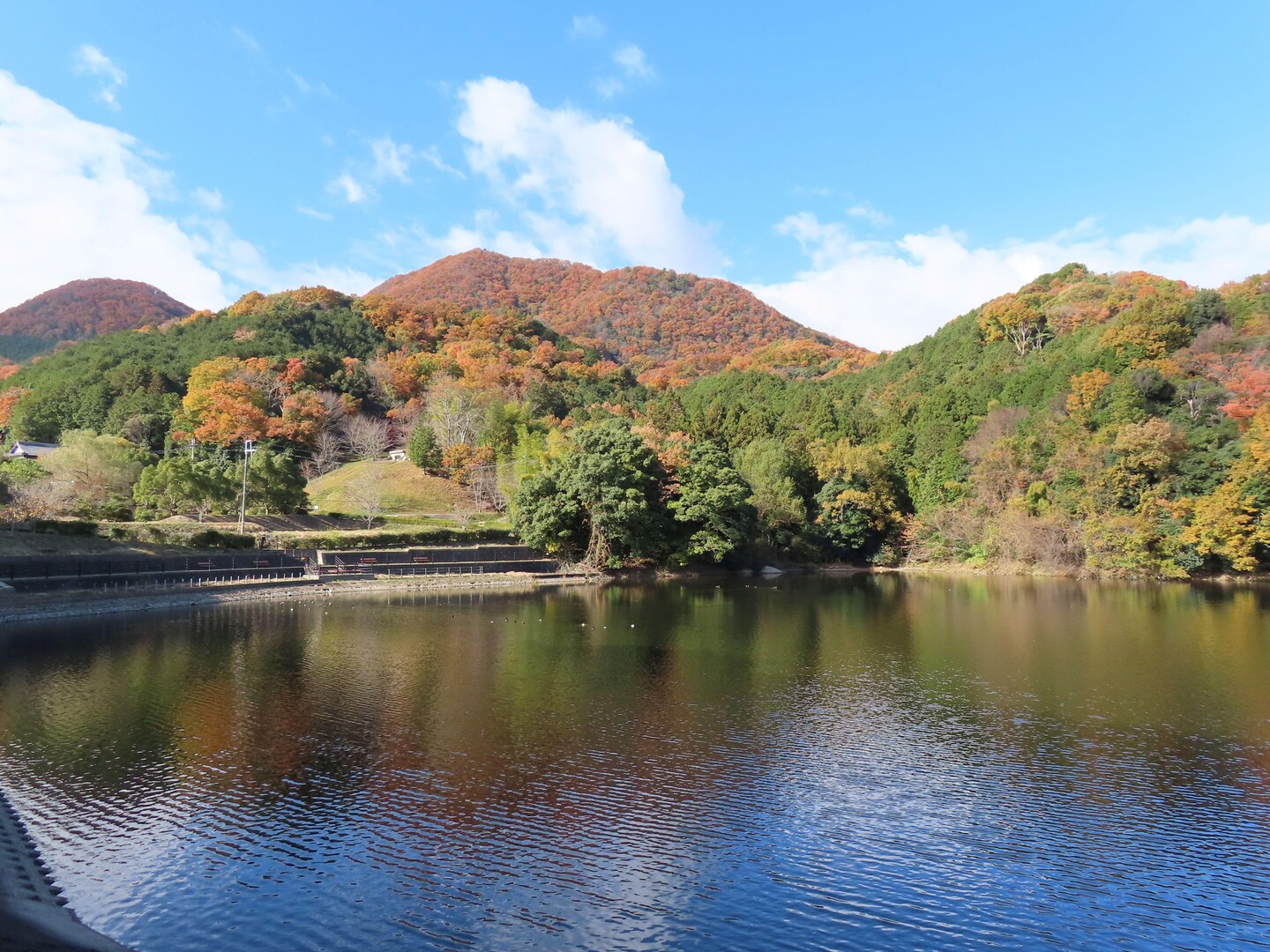 當麻寺奥院～麻呂子山・原岳・二上山（雌岳）🍁🍁🍁 / Howardさんの葛城修験エリアマップ（二上山周辺）の活動日記 | YAMAP / ヤマップ