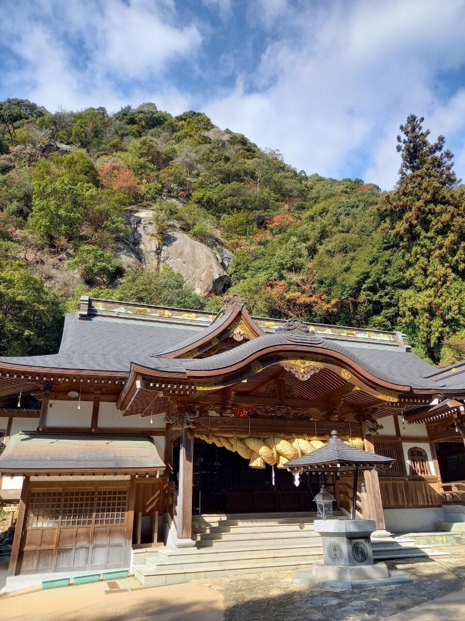 ステキすぎた権現山 / izumiさんの阿武山・野登呂山の活動データ | YAMAP / ヤマップ