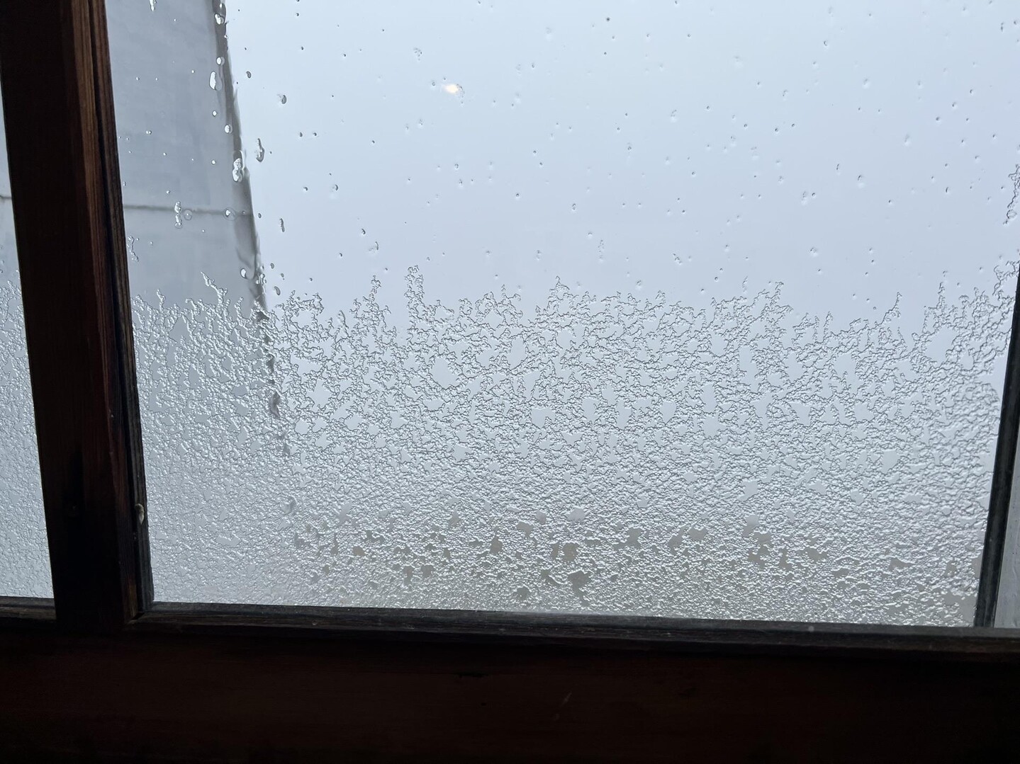 朝から雪⛄が降り始めました。 お昼には吹... / ayaさんのモーメント | YAMAP / ヤマップ