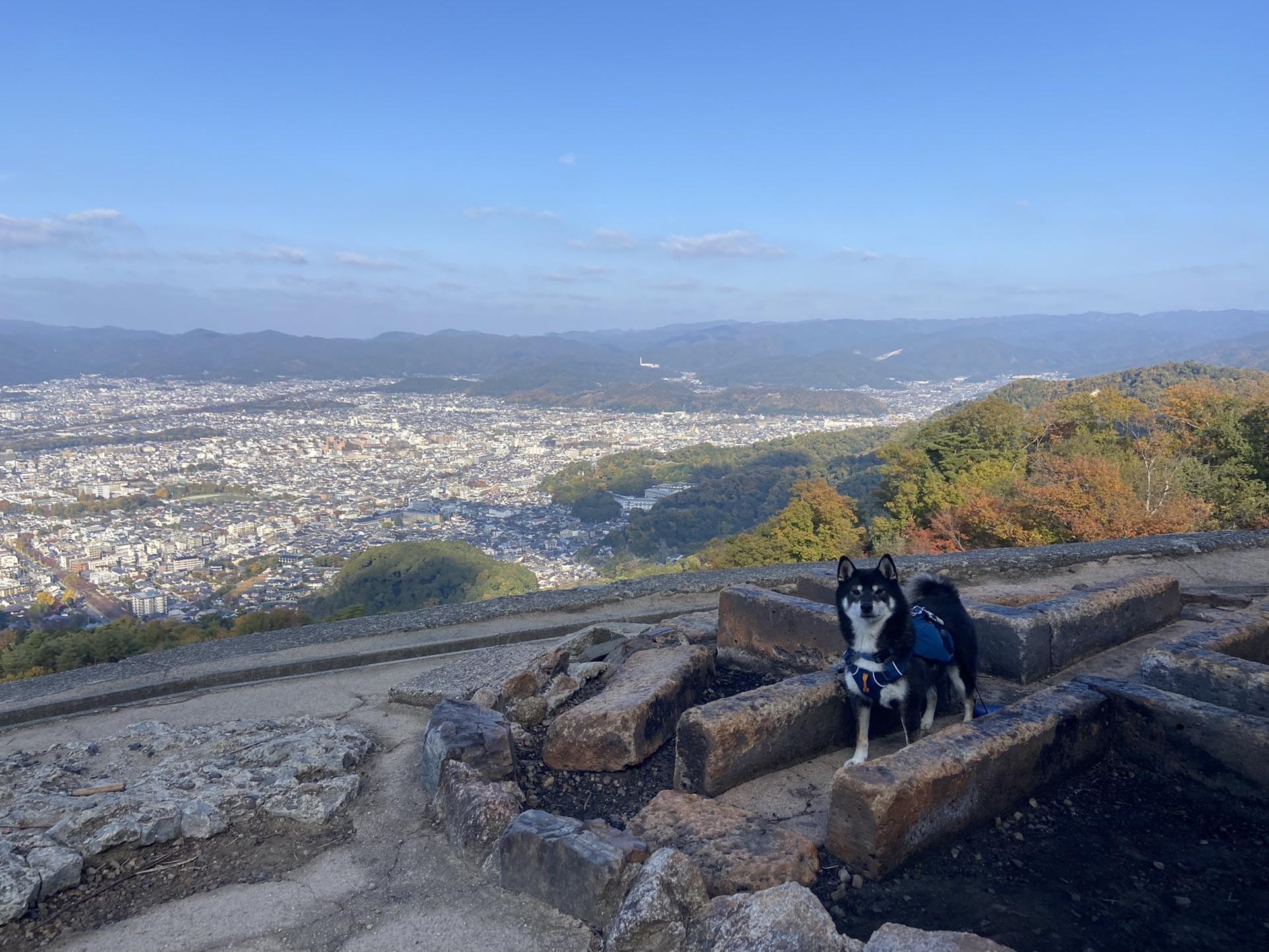 紅葉狩り 大文字から南禅寺 / Corchanさんの大文字山・如意ヶ嶽・稲荷山の活動データ | YAMAP / ヤマップ