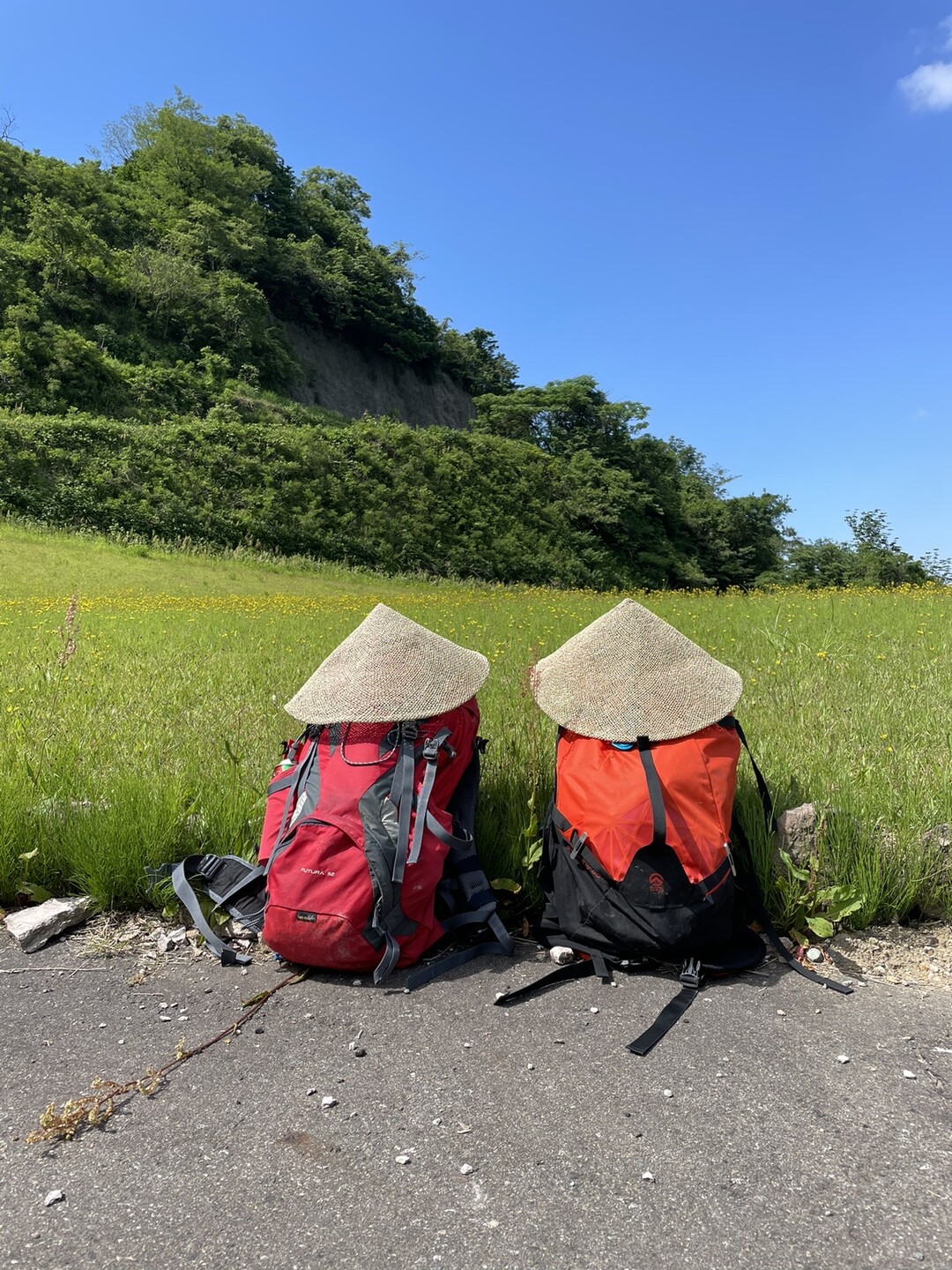 白兀山・箱屋谷山 / ひらまさ20kgさんの医王山・白兀山・箱屋谷山の活動データ | YAMAP / ヤマップ