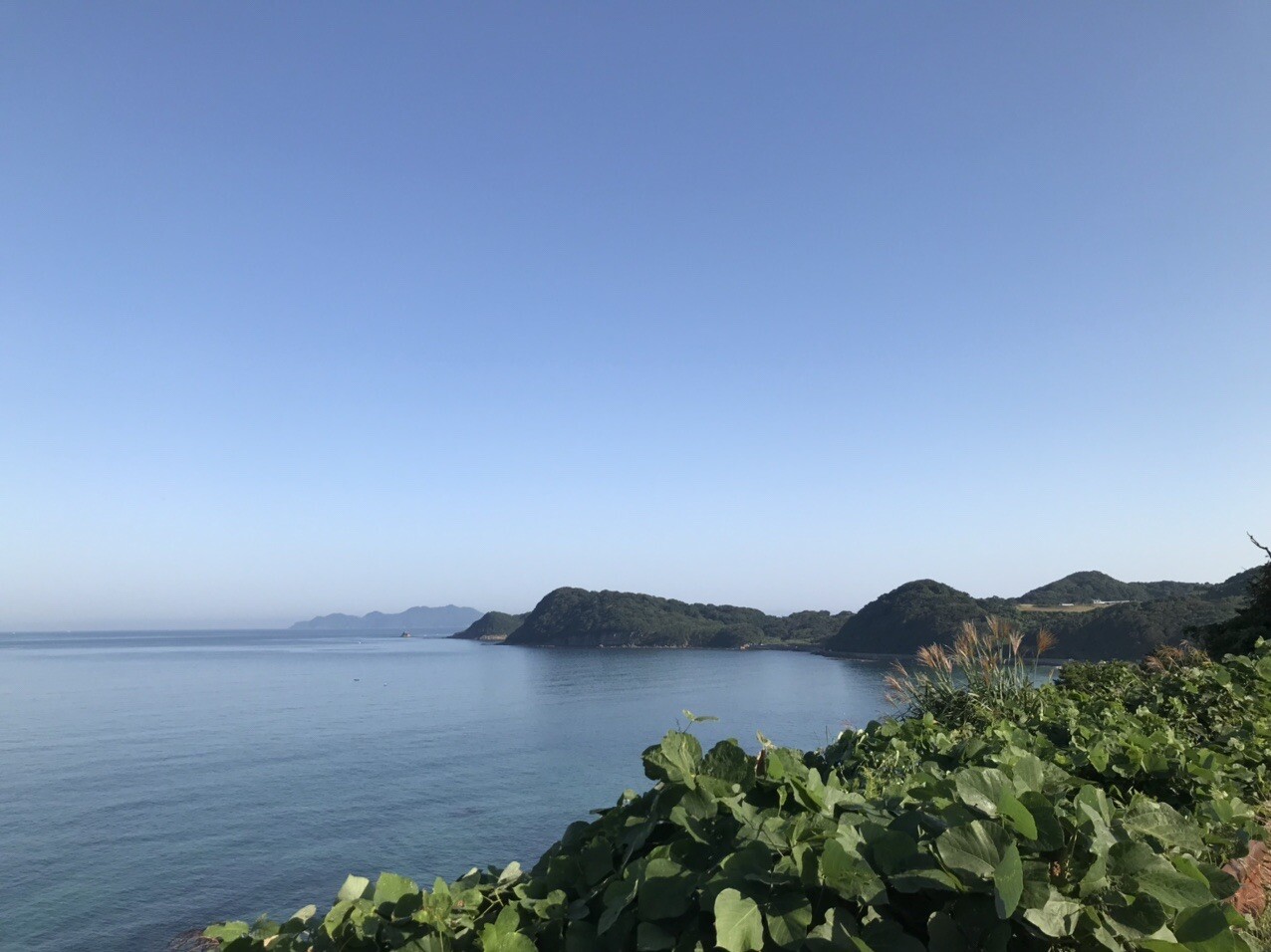 朝カフェ☕️ 💕好きな場所💕 髭ダ... / 💕love💕さんのモーメント | YAMAP / ヤマップ