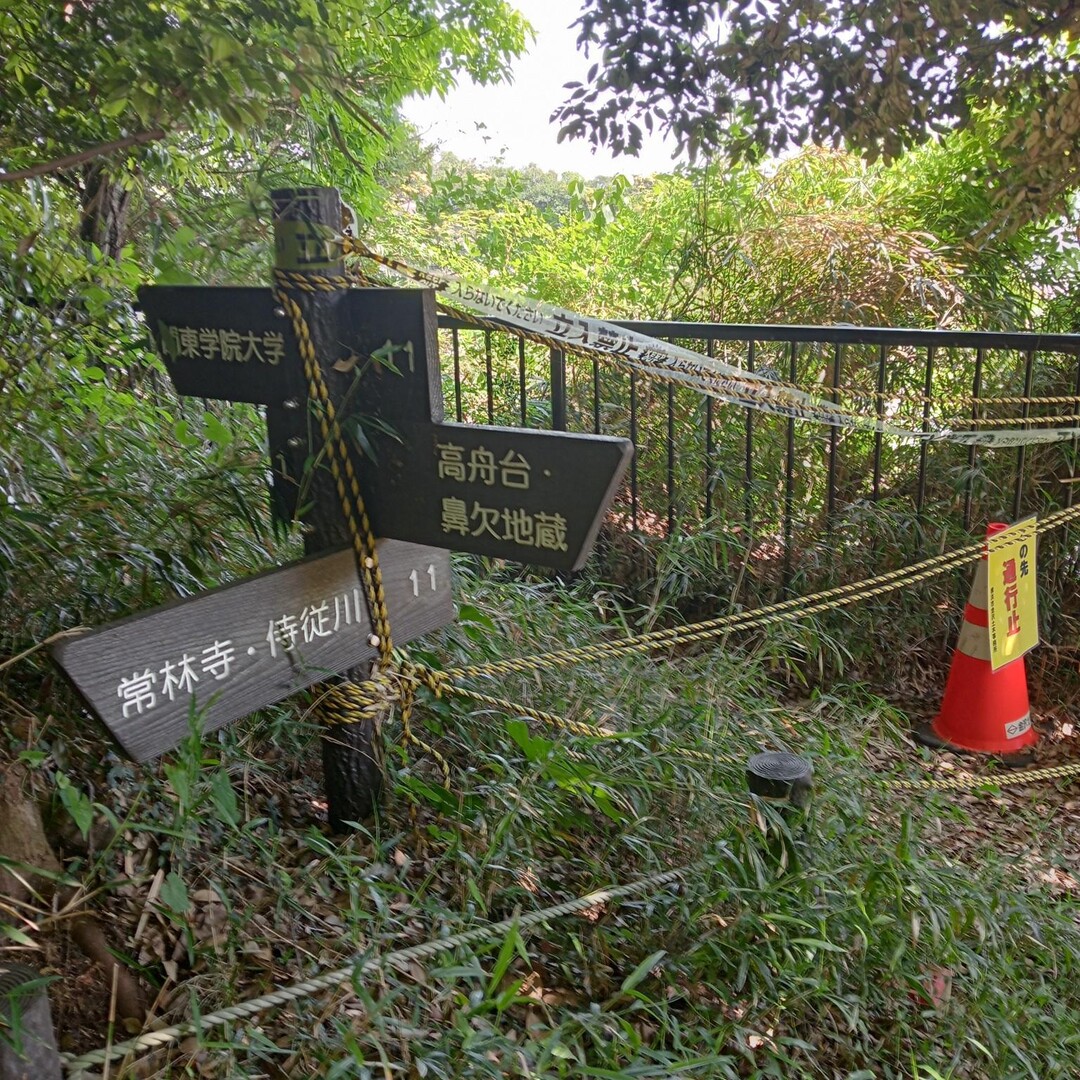 NORさんの投稿したフィールドメモ | YAMAP / ヤマップ