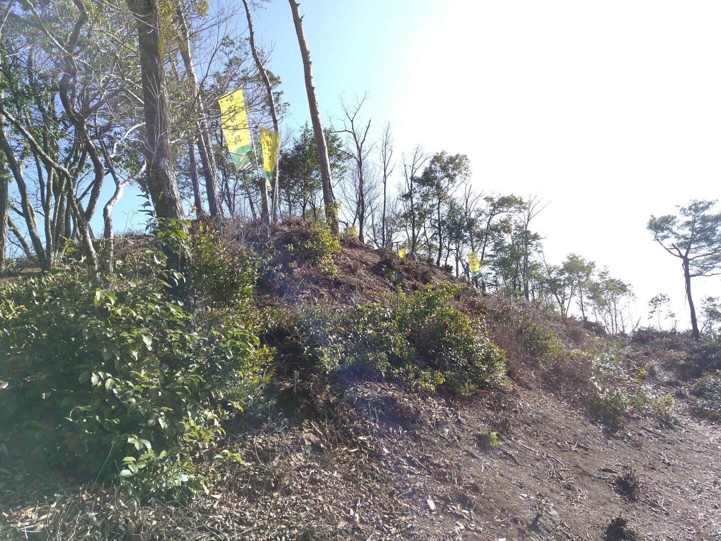 梨割山・古城山 / yauraさんの梨割山の活動データ | YAMAP / ヤマップ